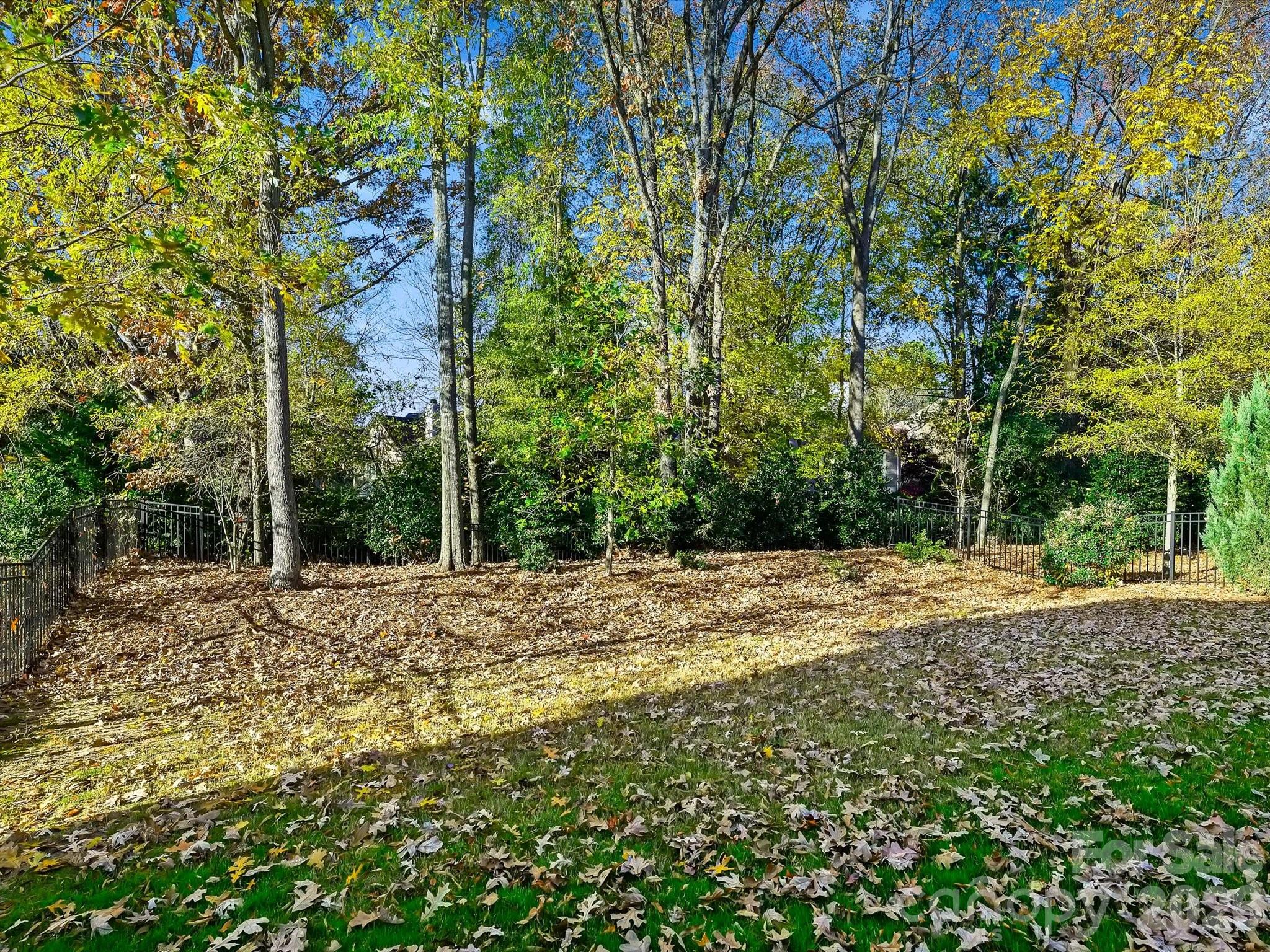 13105 Kornegy Drive, Charlotte, NC - photo 16 of 31