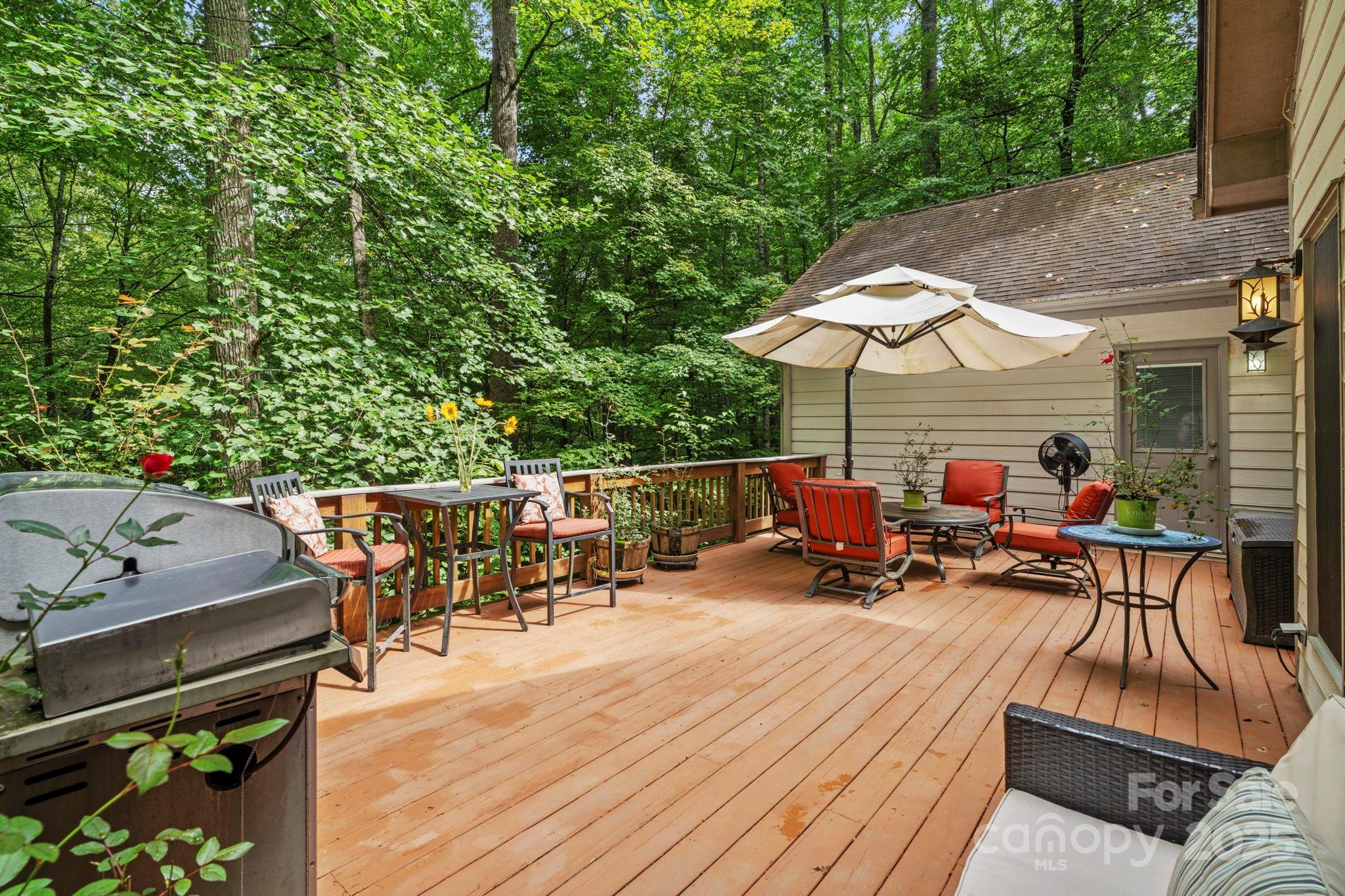 458 Blue Mist Way, Arden, NC - photo 38 of 48