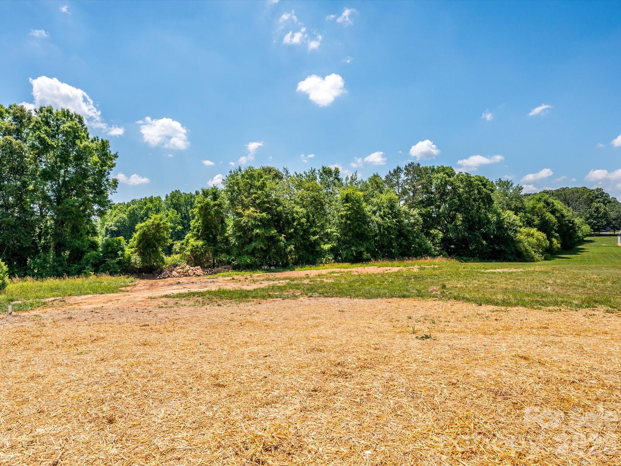 1012 Harrogate Drive, Bessemer City, NC - photo 39 of 41