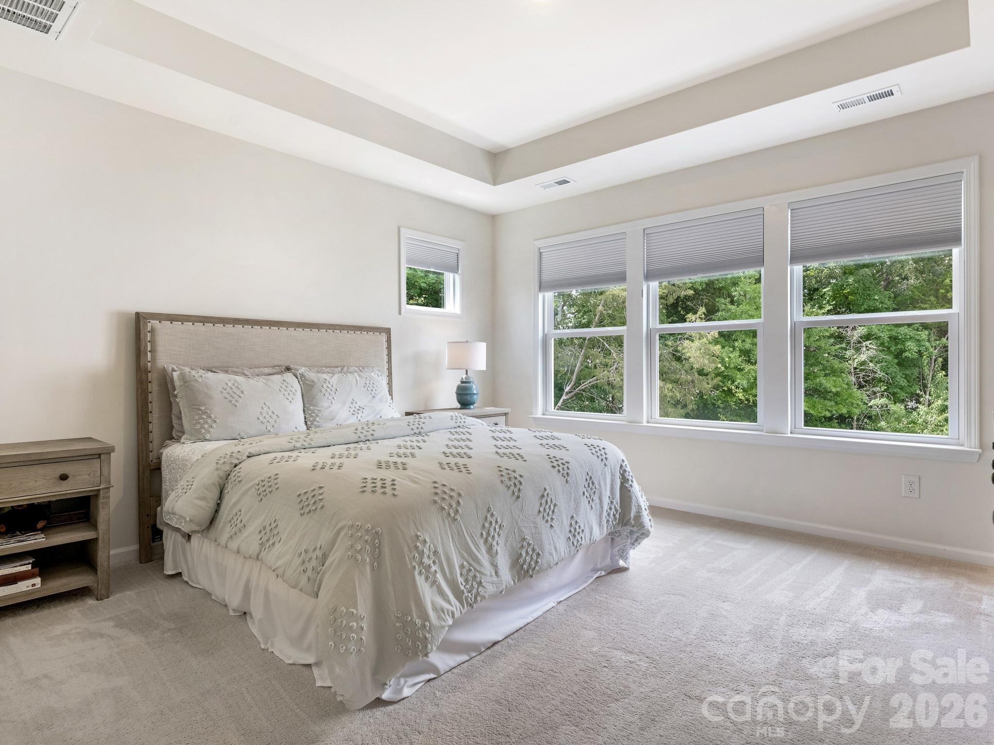 Photo 19 of 15004 Bayou Drive, Charlotte, NC