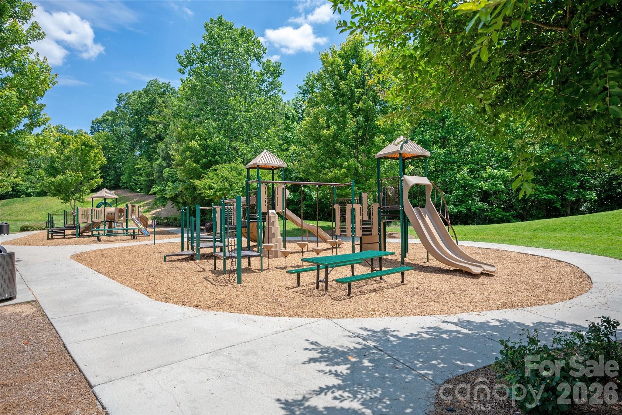 7019 Hamilton Mill Drive, Waxhaw, NC - photo 40 of 48