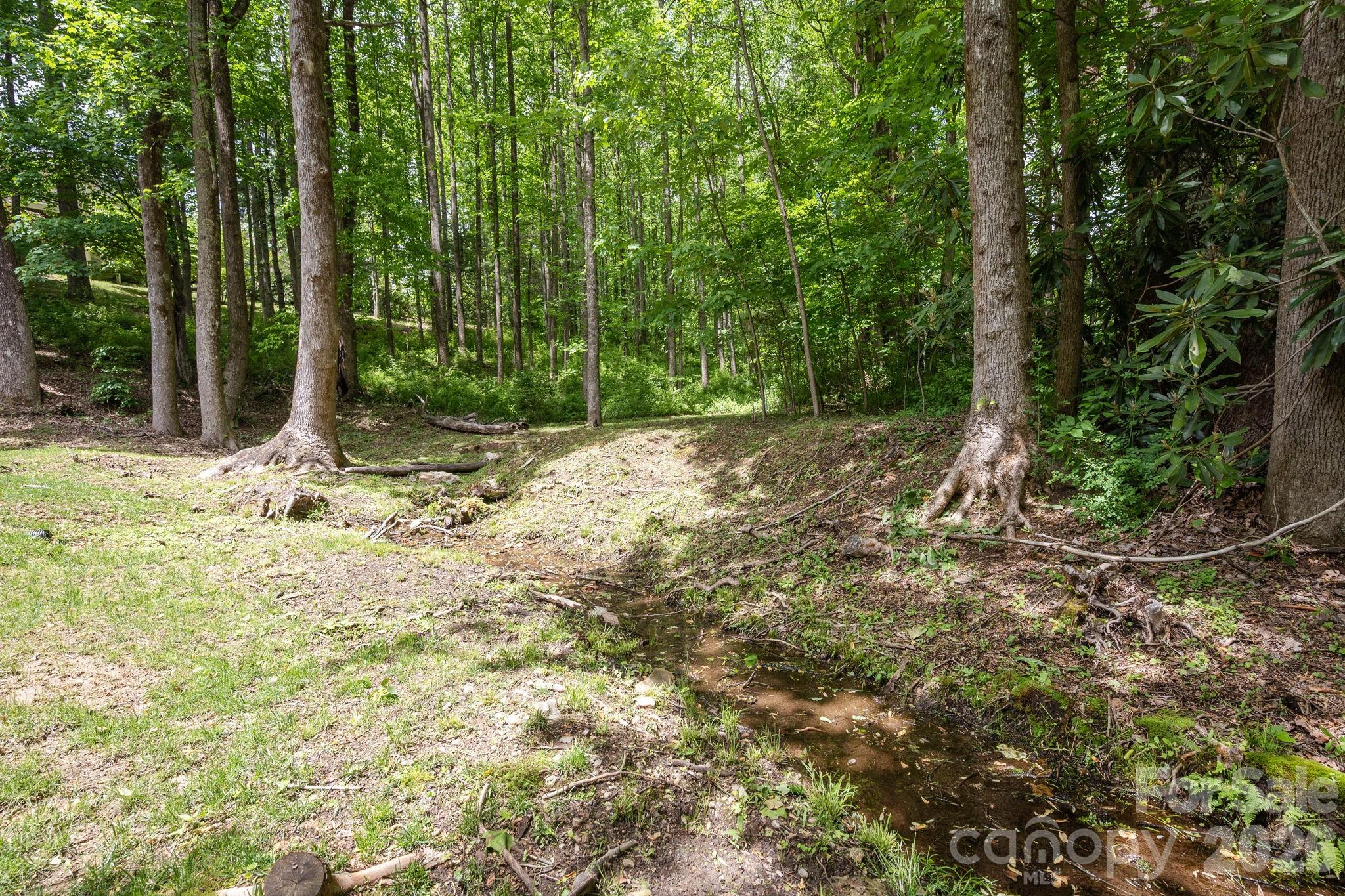 113 CHANCERY Court, Flat Rock, NC - photo 42 of 46