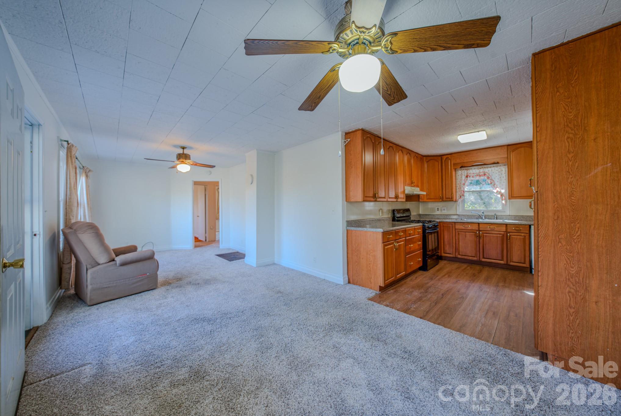 550 Saluda Street, Hendersonville, NC - photo 3 of 30