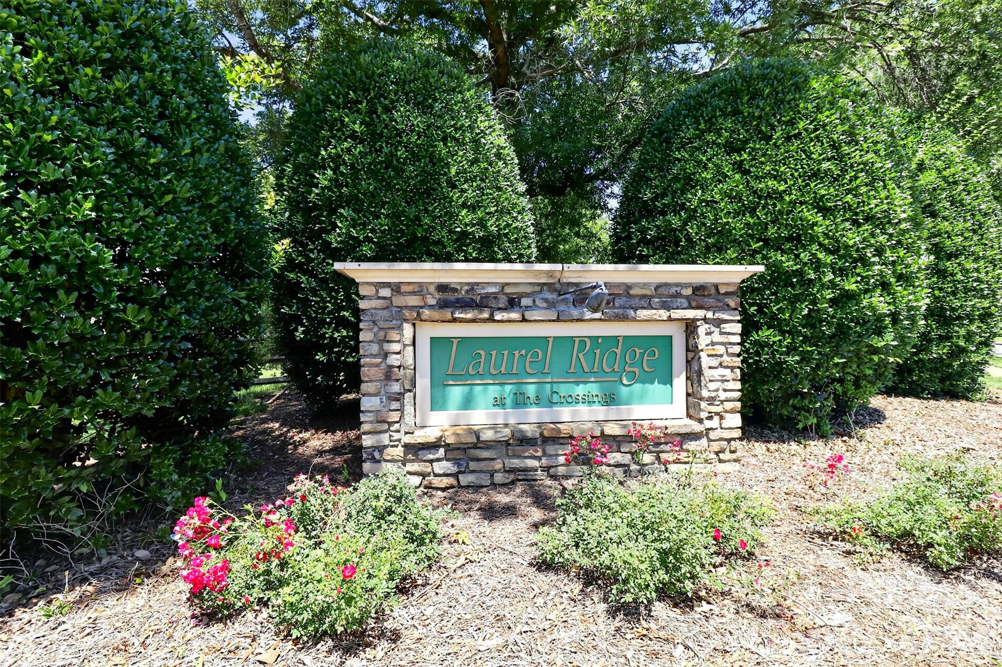 Photo 39 of 11542 Laurel View Drive, Charlotte, NC