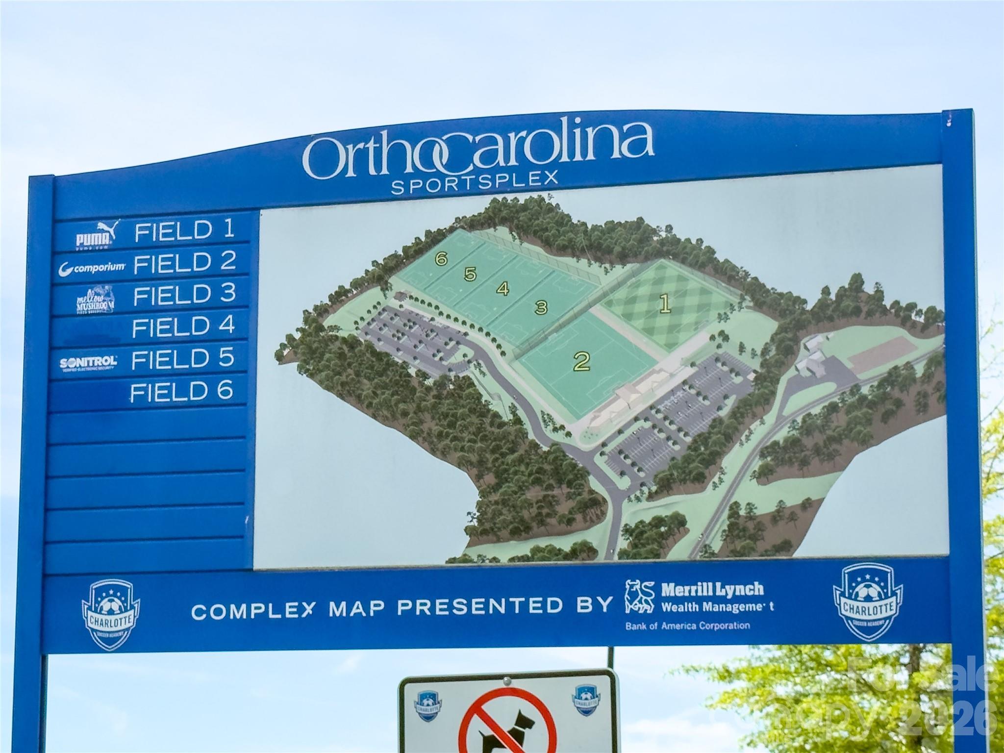 7041 Carnwarth Lane, Fort Mill, SC - photo 25 of 26