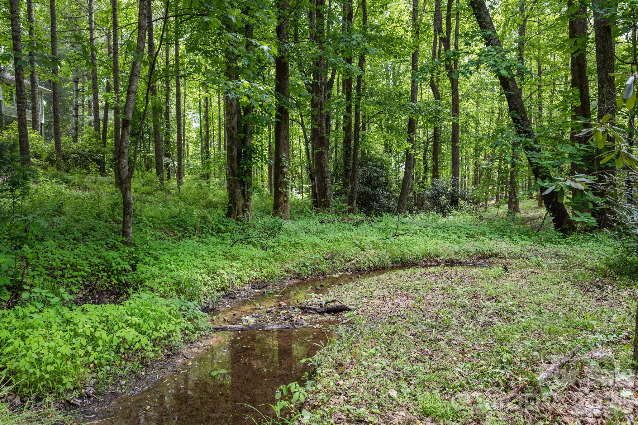 113 CHANCERY Court, Flat Rock, NC - photo 43 of 46