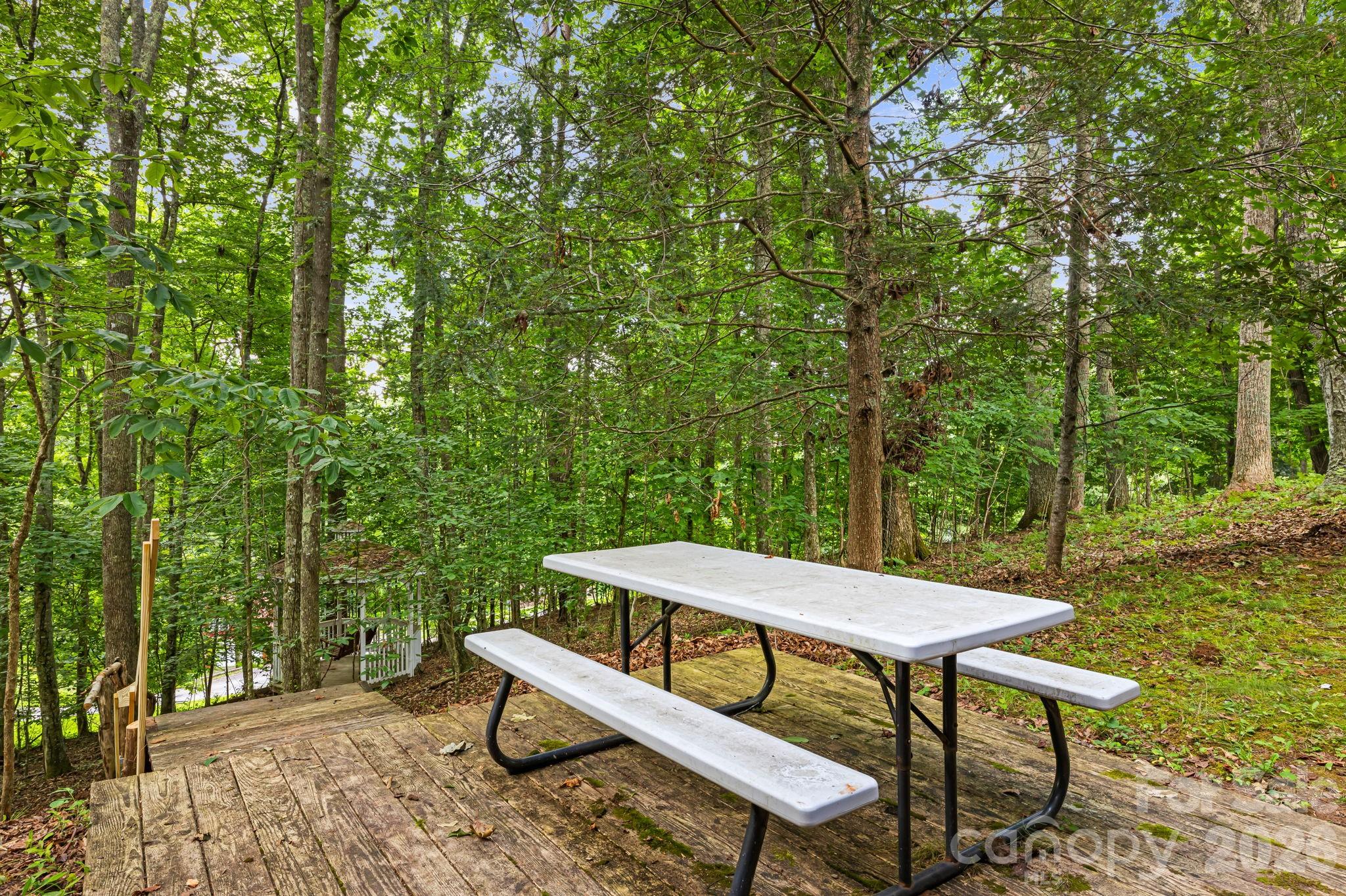 180 Grace Way, Green Mountain, NC - photo 34 of 42