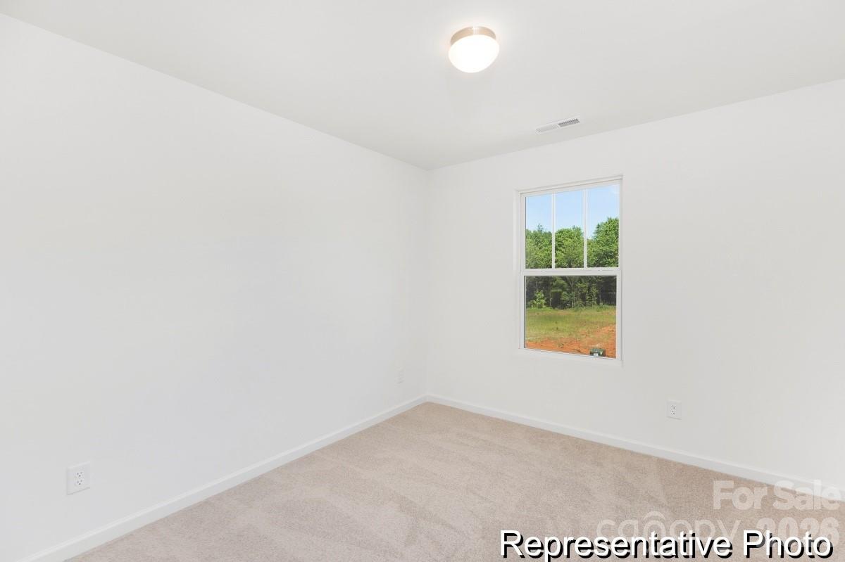 1741 Autumn Banks Way72p, High Shoals, NC - photo 16 of 19