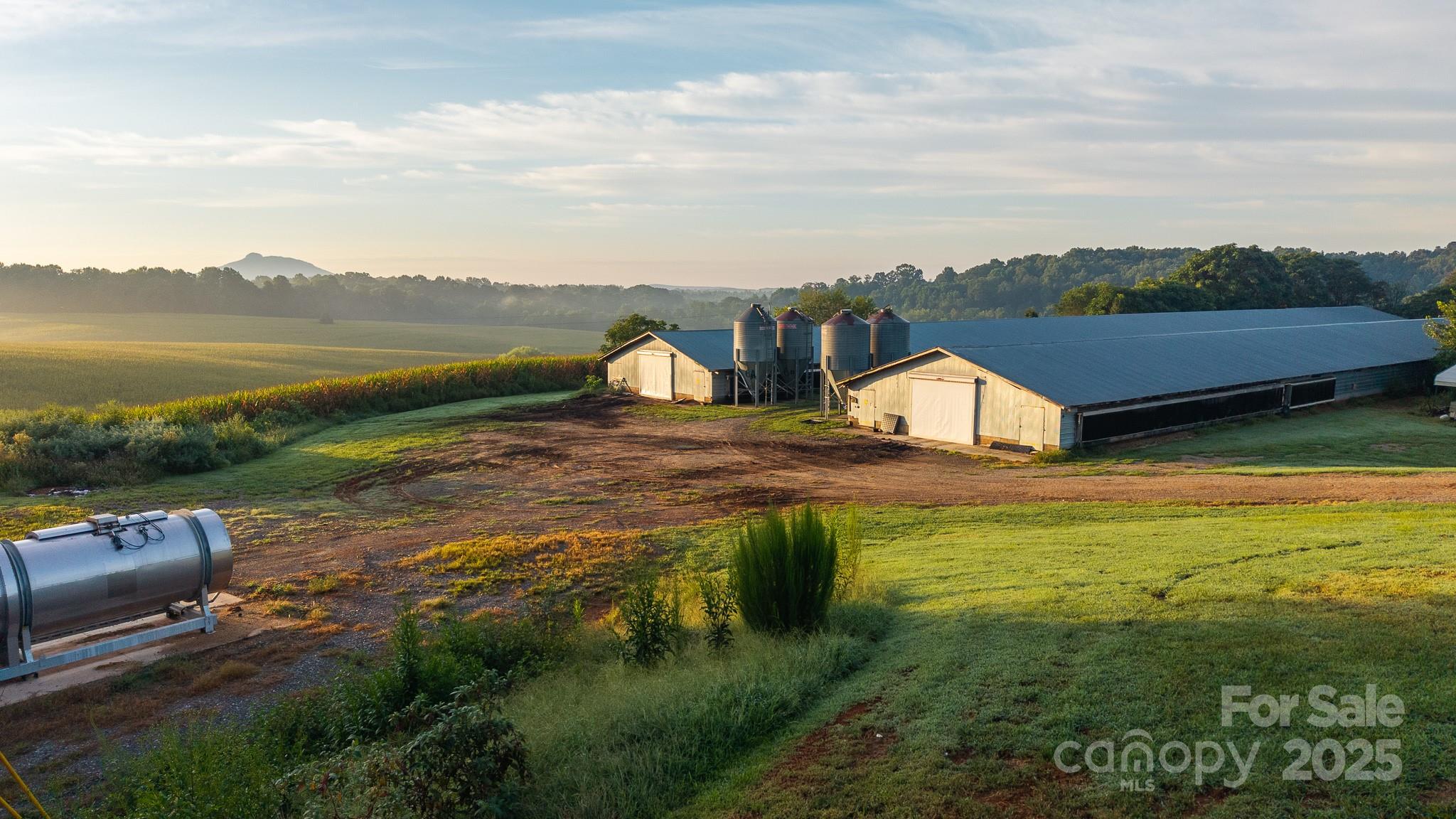 167 Buck Hollow Trail, Ararat, NC - photo 16 of 45