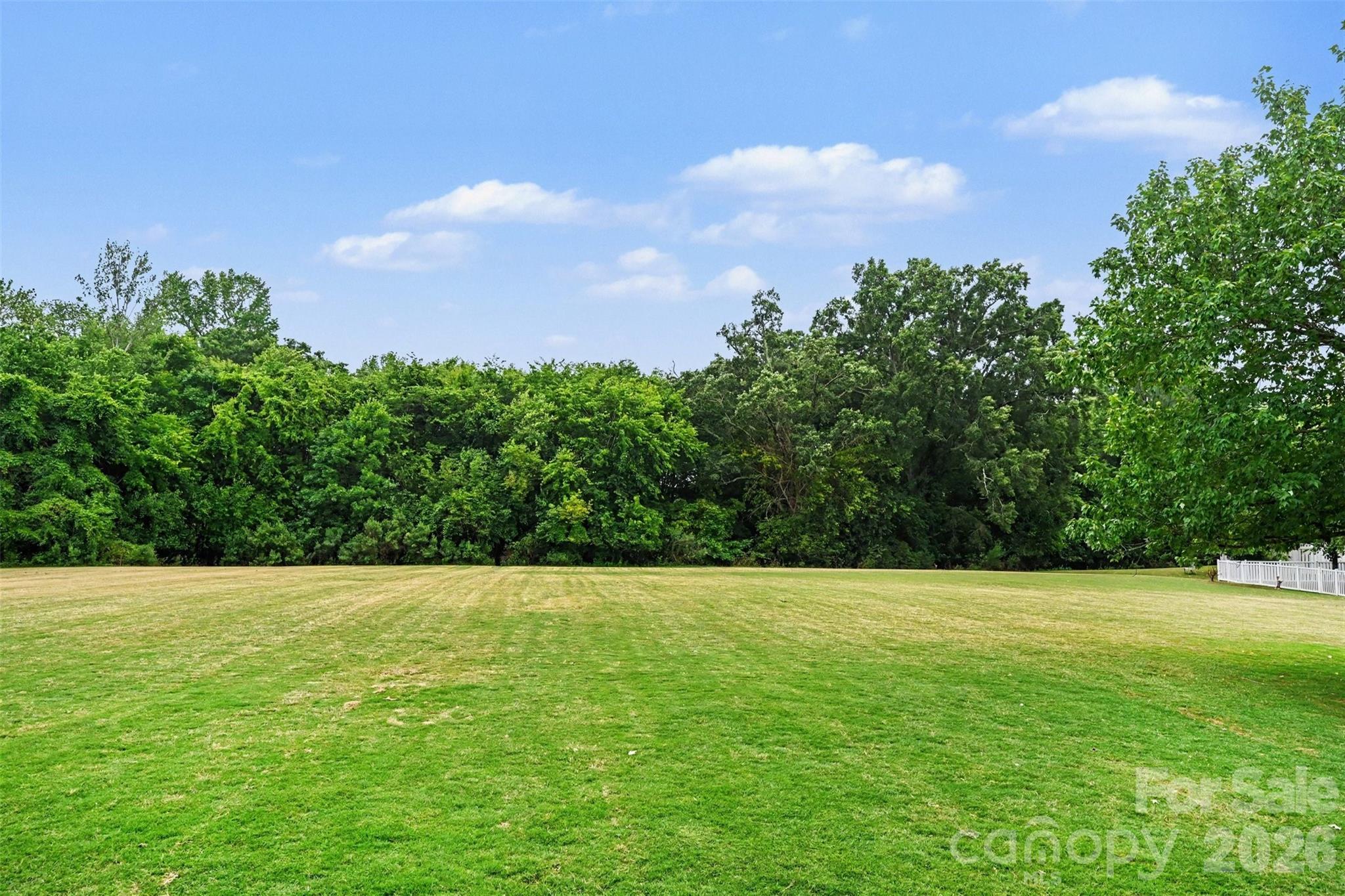 Photo 41 of 7929 Honey Fig Road, Charlotte, NC