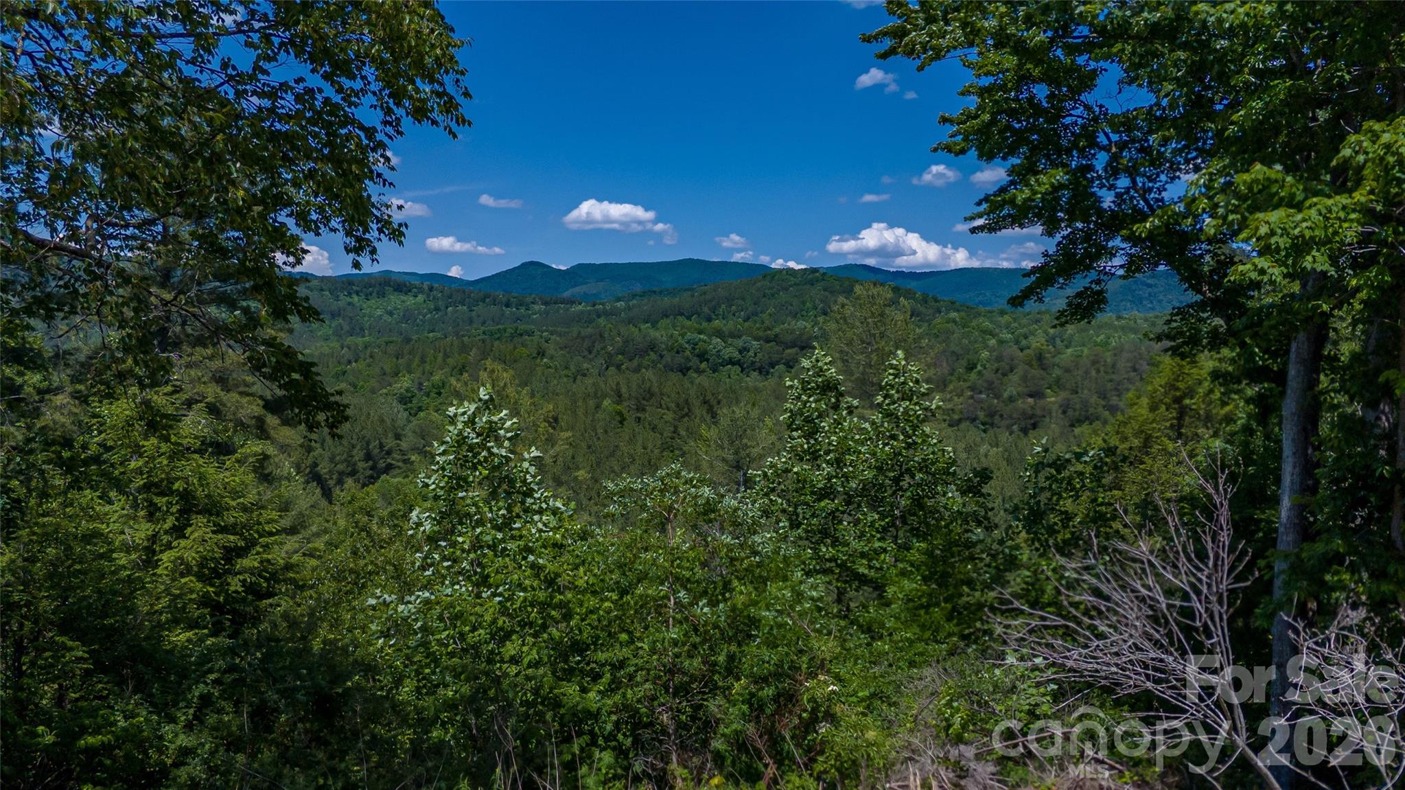 1542 Hwy 226 Highway, Casar, NC - photo 8 of 37