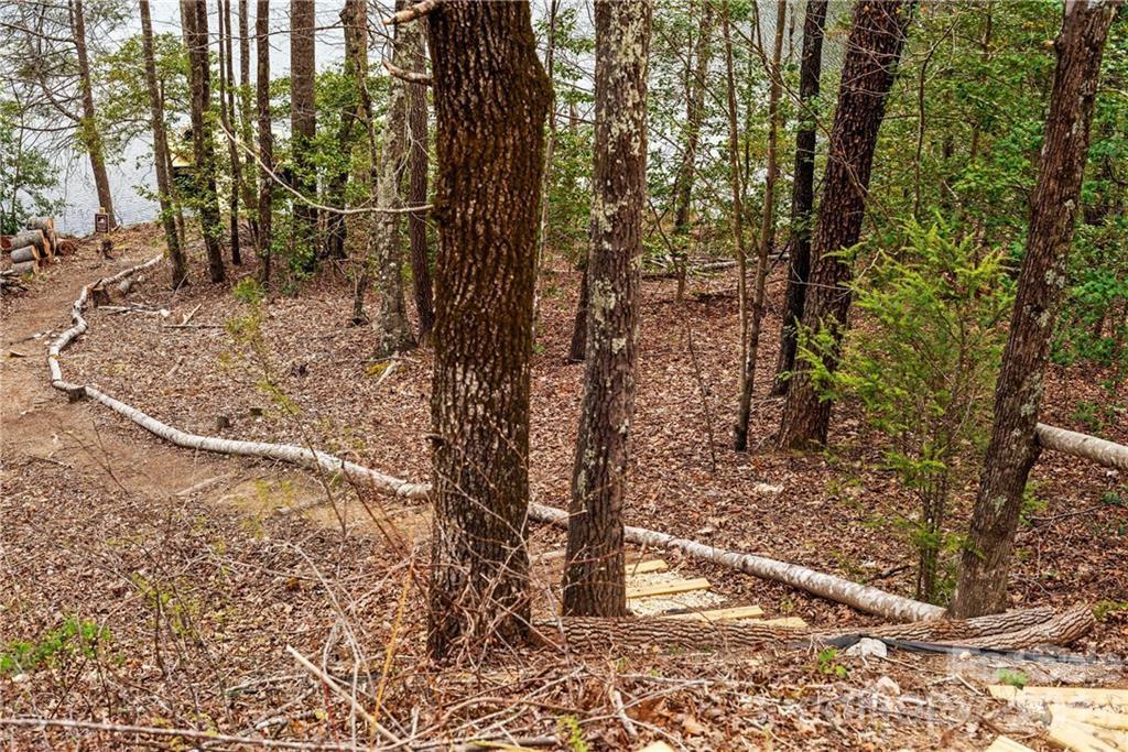 552 Lake Road, Old Fort, NC - photo 43 of 47