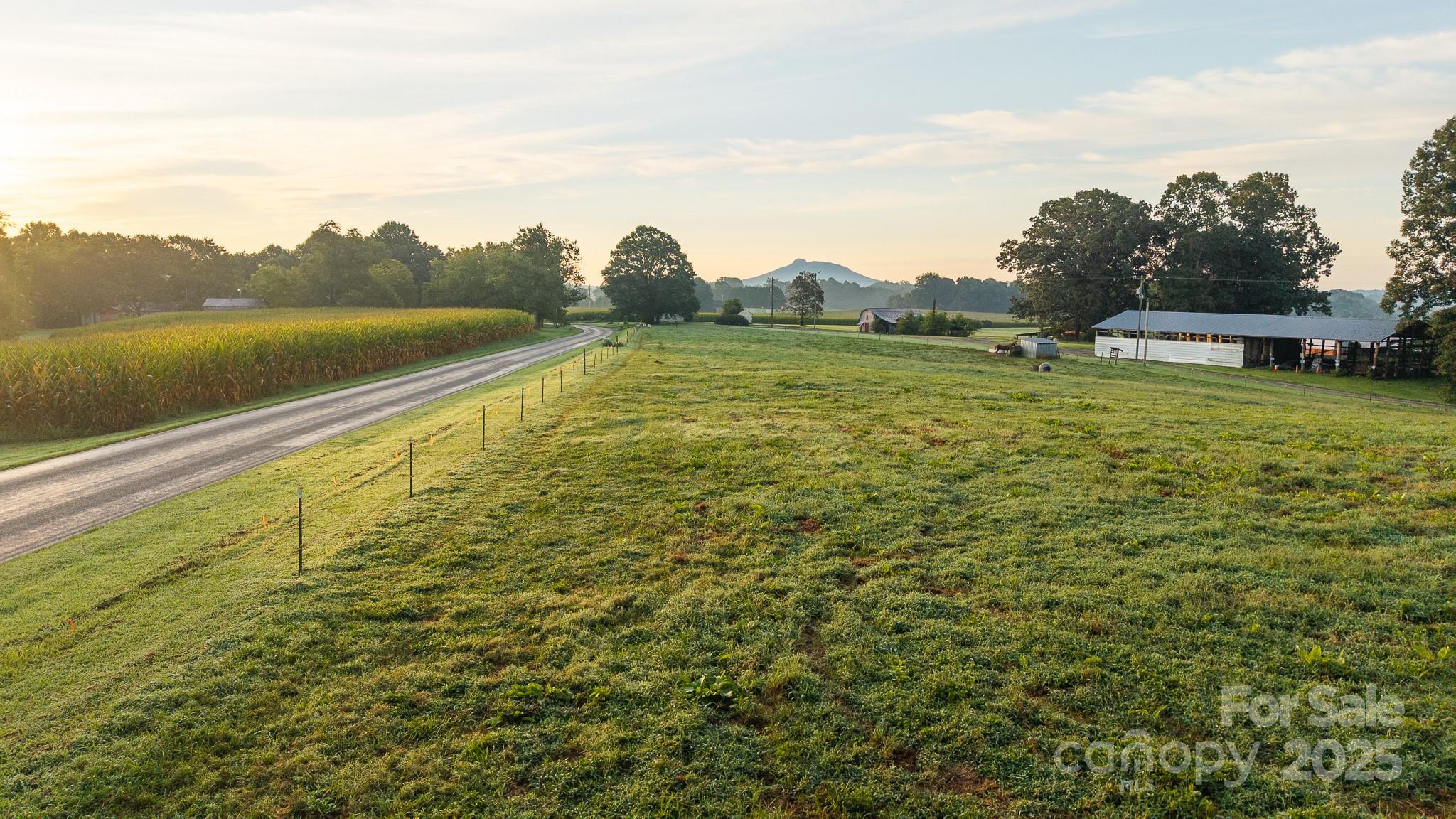 167 Buck Hollow Trail, Ararat, NC - photo 19 of 45