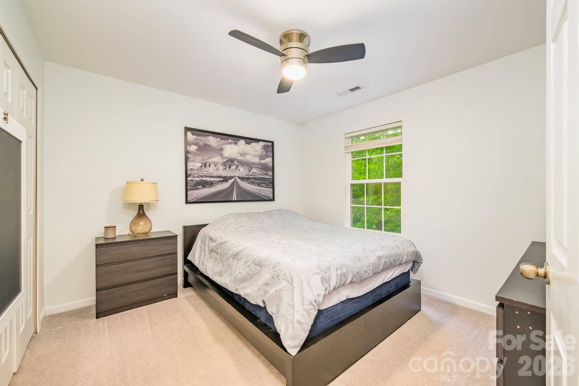 10732 Trolley Run Drive, Cornelius, NC - photo 24 of 49