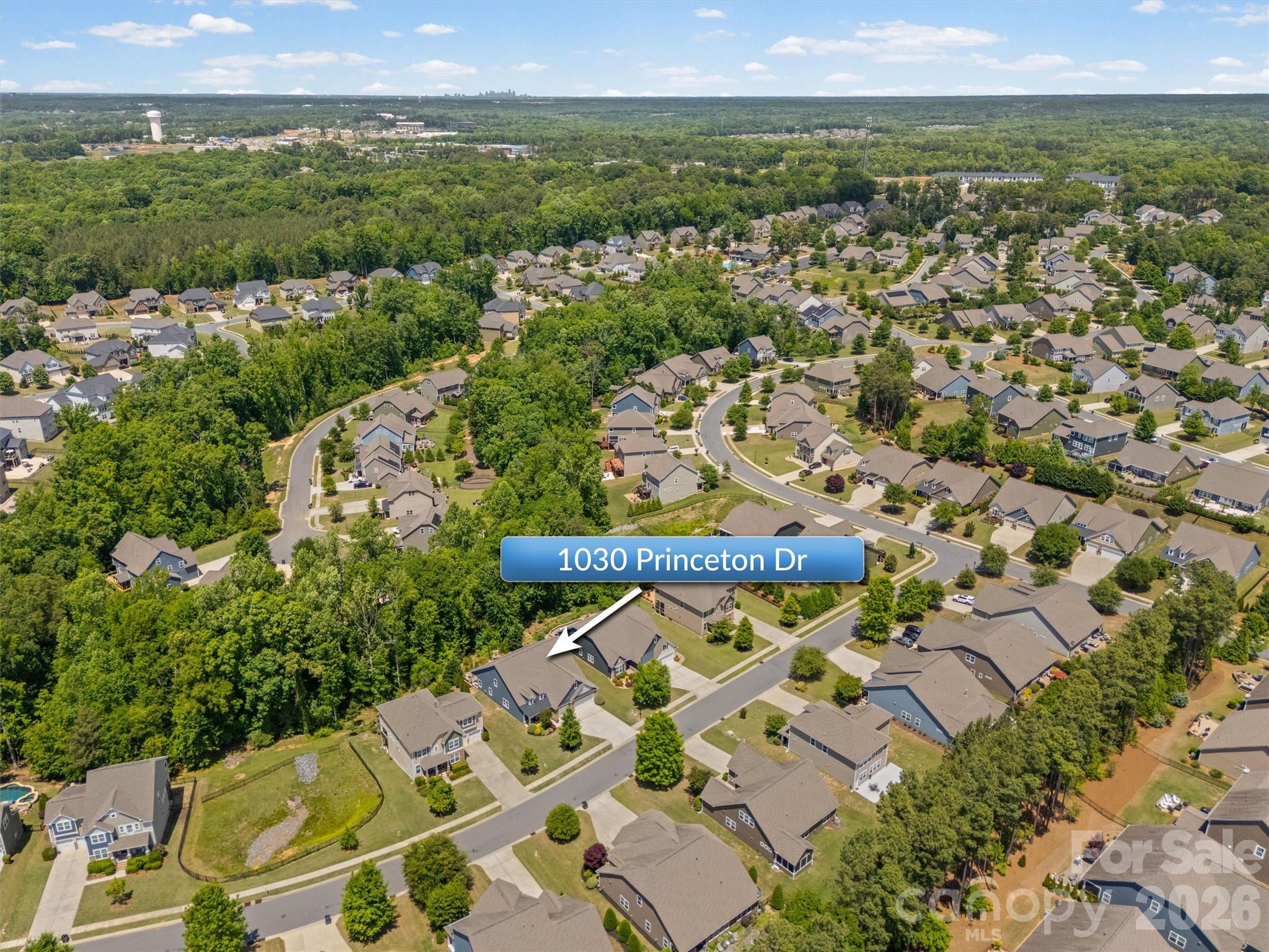 1030 Princeton Drive, Indian Land, SC - photo 48 of 49