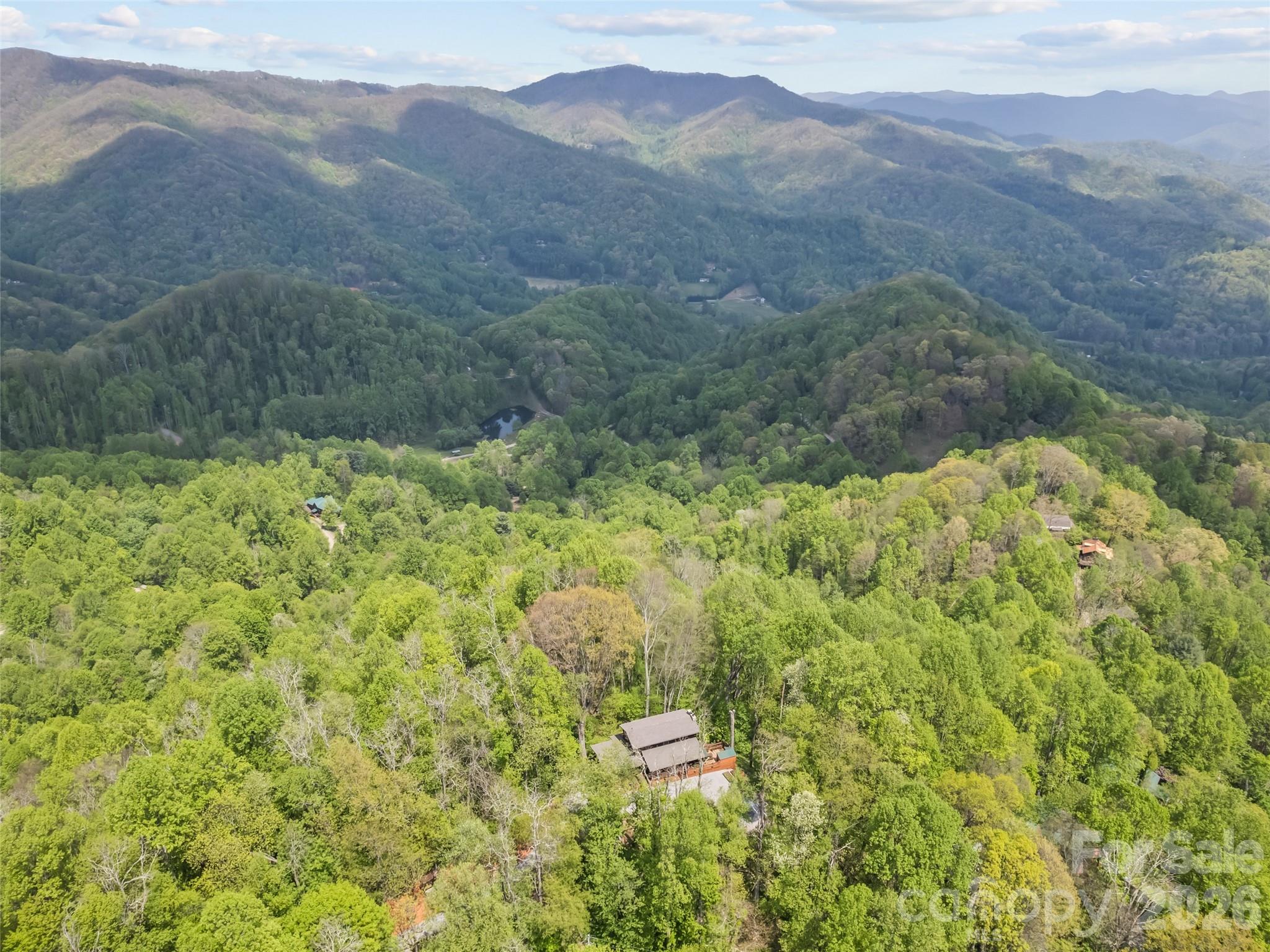 2863 Heath Peak Road, Waynesville, NC - photo 14 of 49