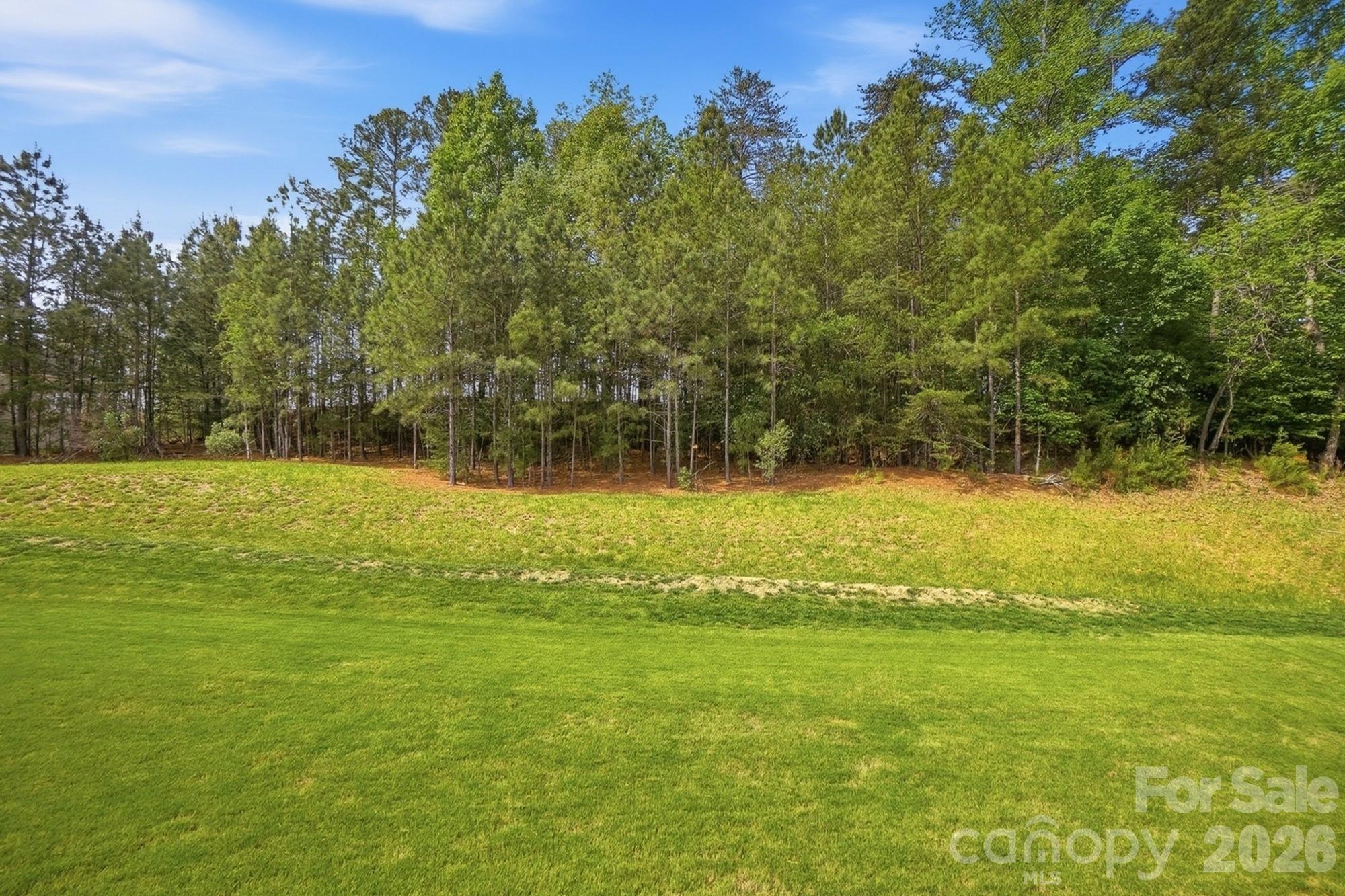 Photo 46 of 10706 Anglesey Court, Charlotte, NC