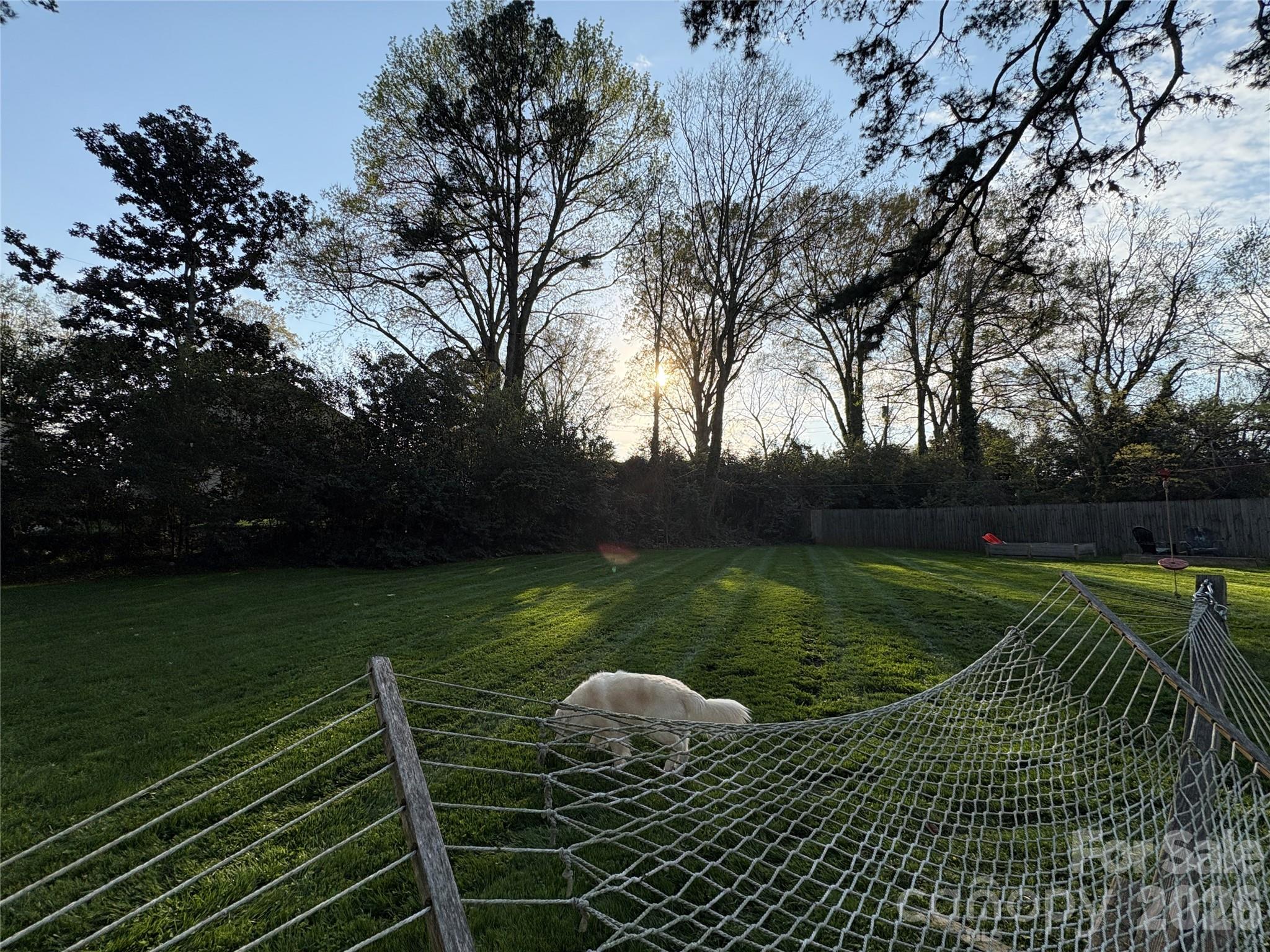 Photo 11 of 4124 Randolph Road, Charlotte, NC