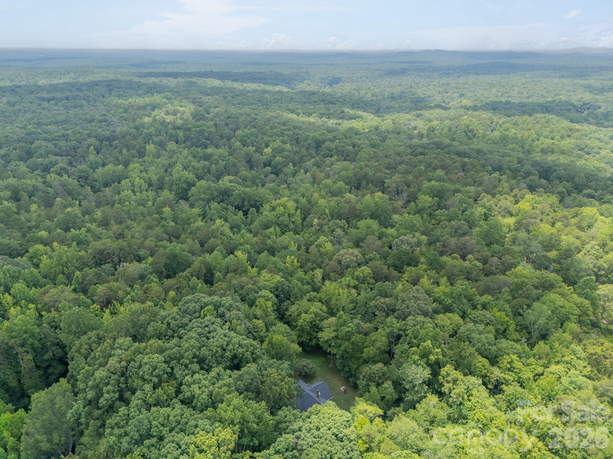253 Highway 161 None N, Clover, SC - photo 44 of 46