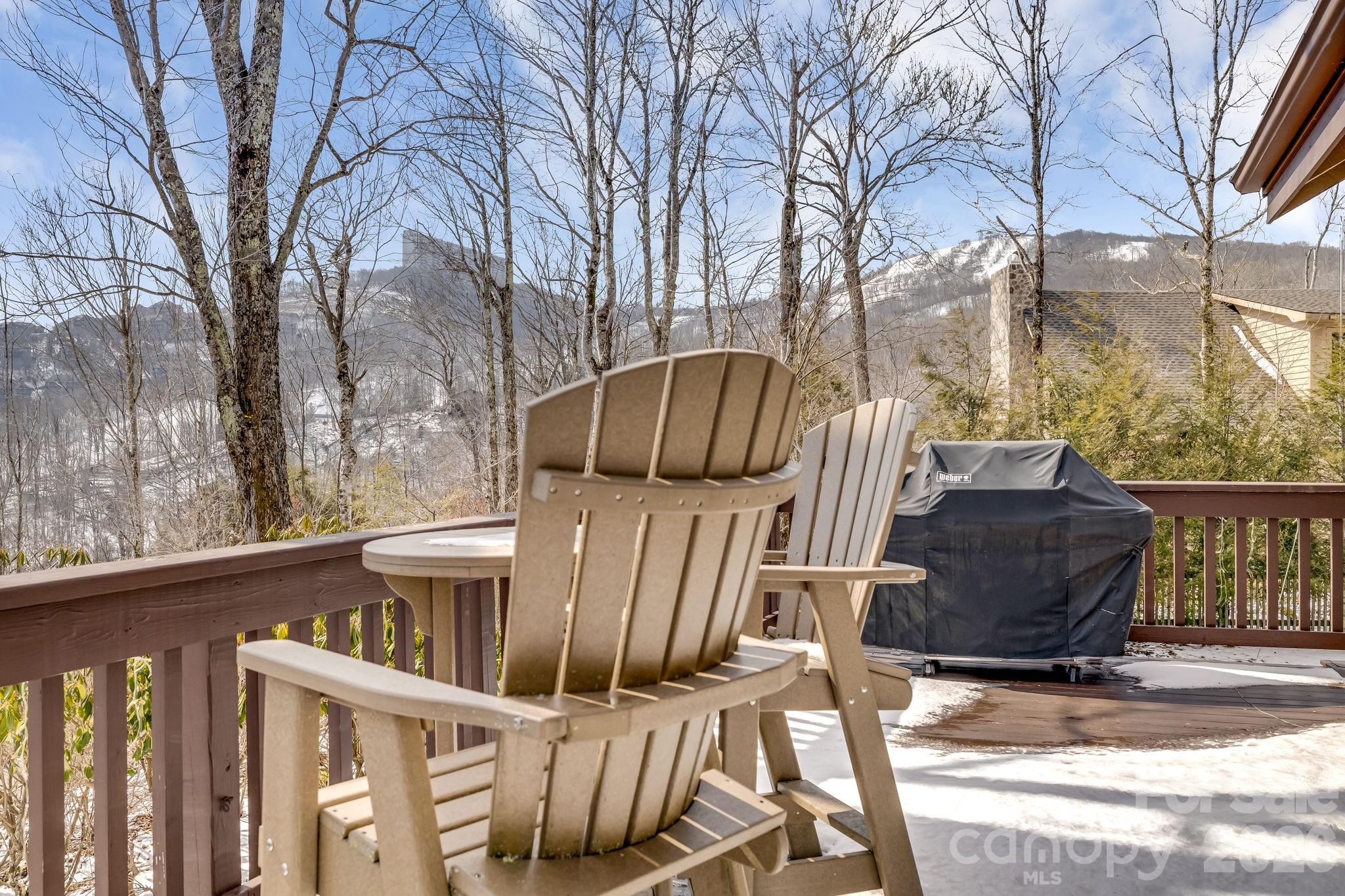 301 Highland Circle, Sugar Mountain, NC - photo 48 of 49