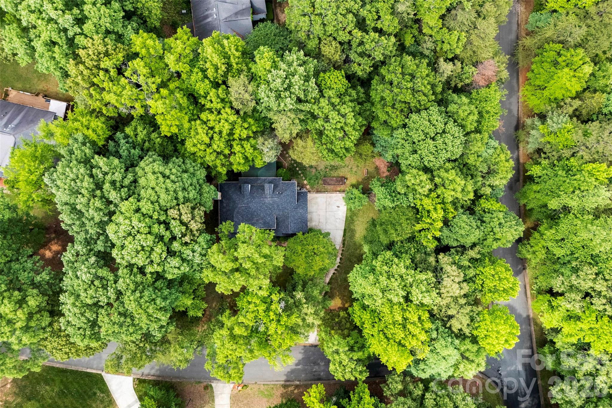 10112 Windtree Lane, Charlotte, NC - photo 45 of 47