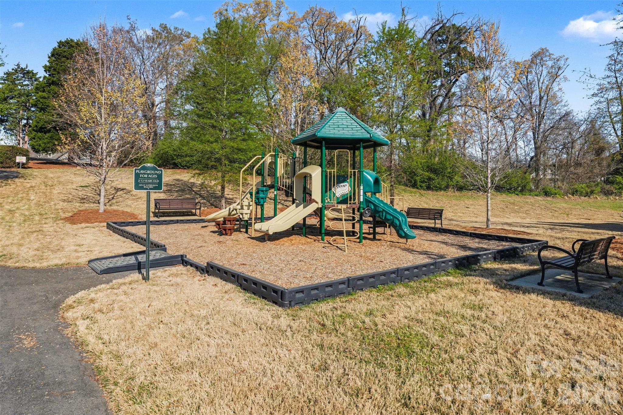 12409 Cranberry Glades Drive, Cornelius, NC - photo 31 of 35