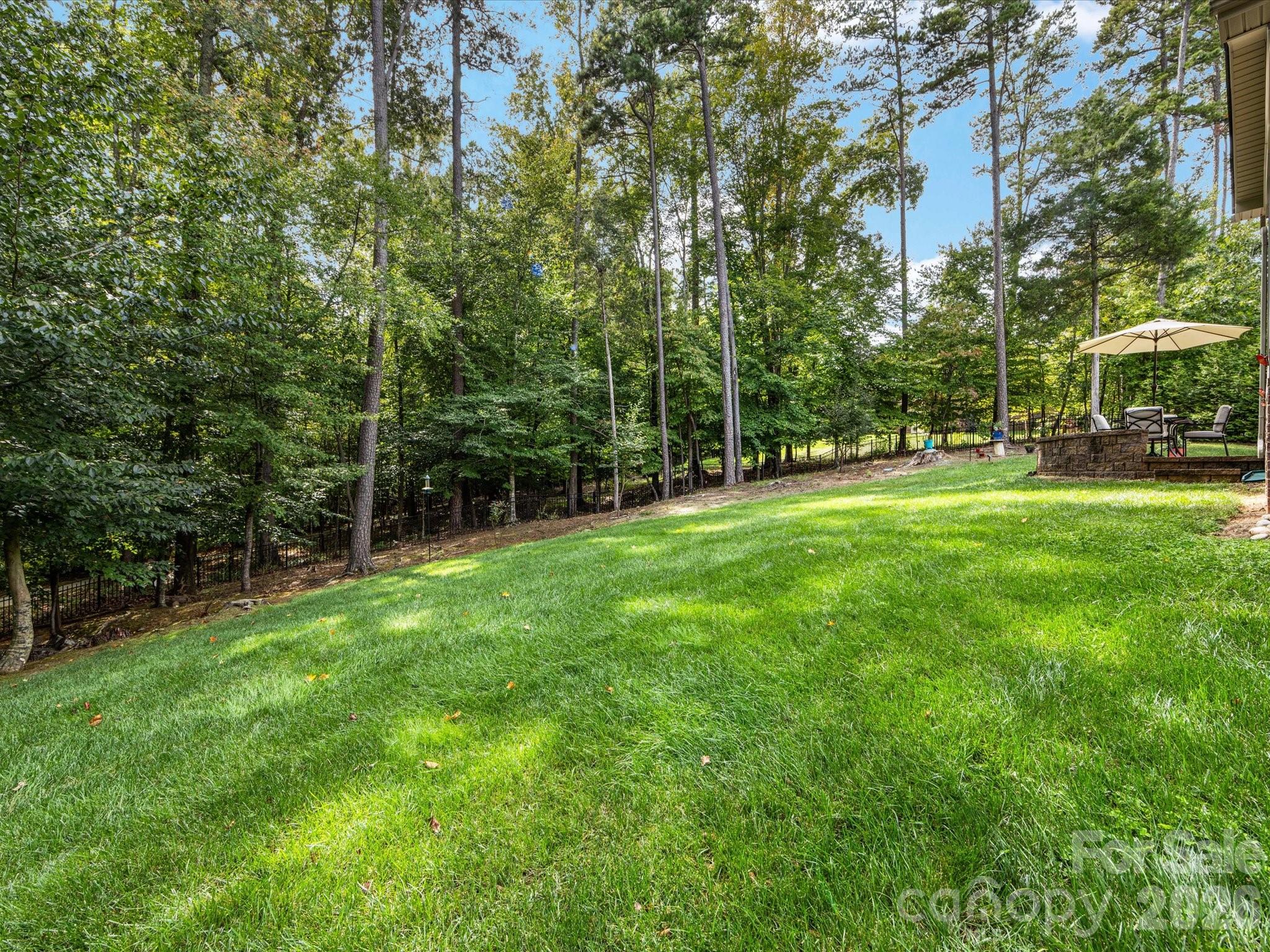 9311 Scorpio Lane, Mint Hill, NC - photo 42 of 49