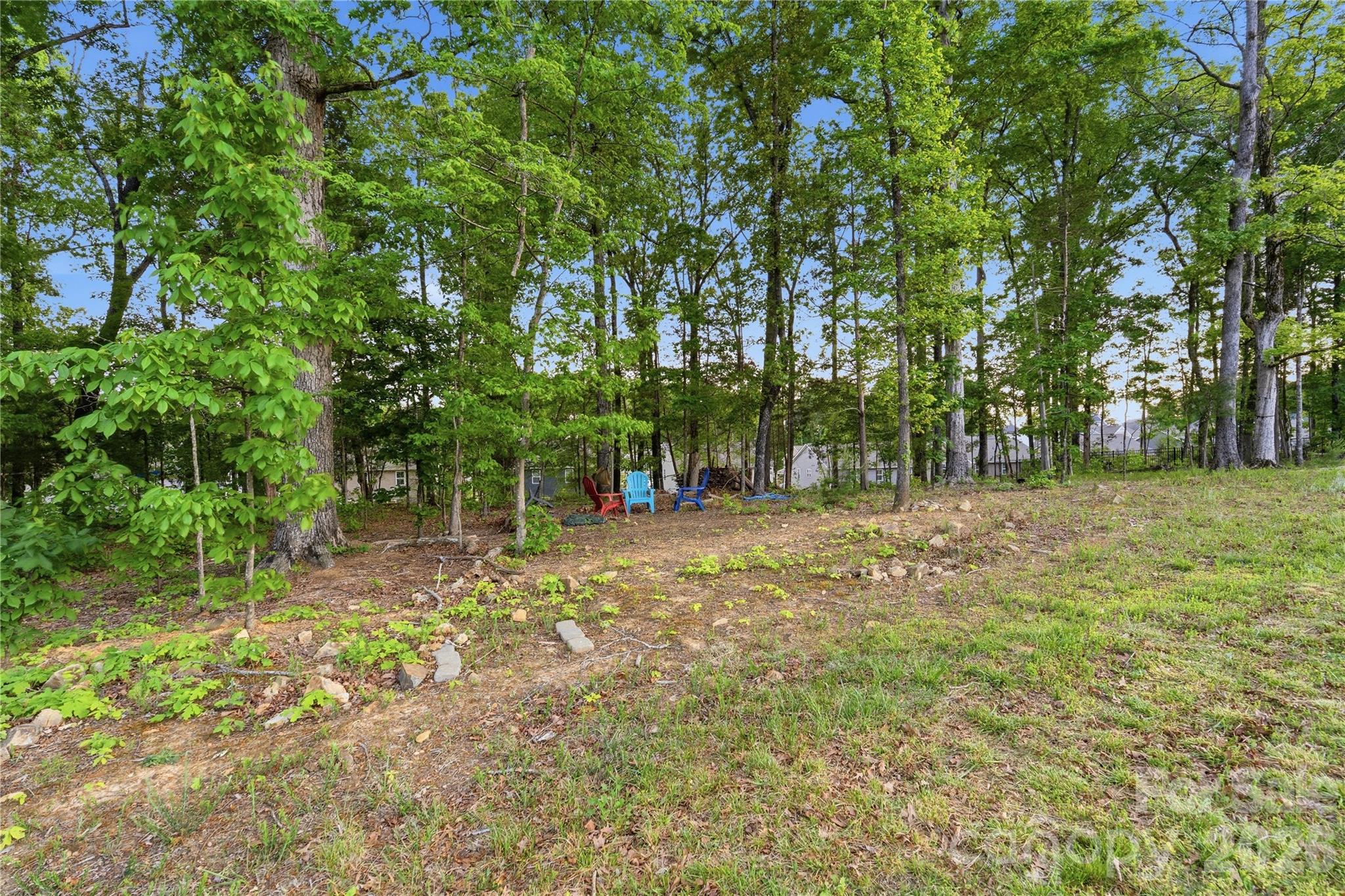Photo 46 of 10158 Paper Birch Drive, Charlotte, NC
