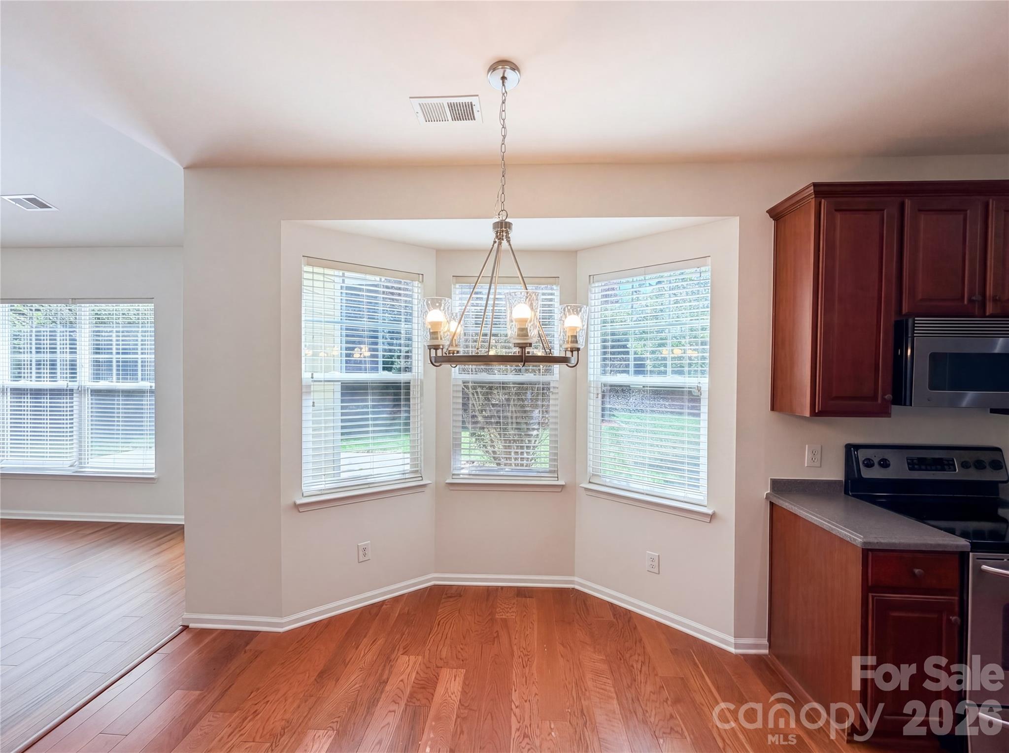 10225 Misty Moss Court, Mint Hill, NC - photo 8 of 22