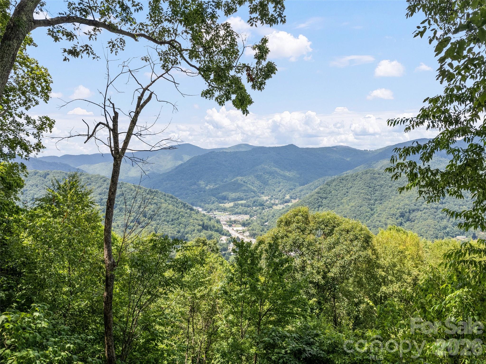 1672 Summit Drive, Maggie Valley, NC - photo 9 of 38
