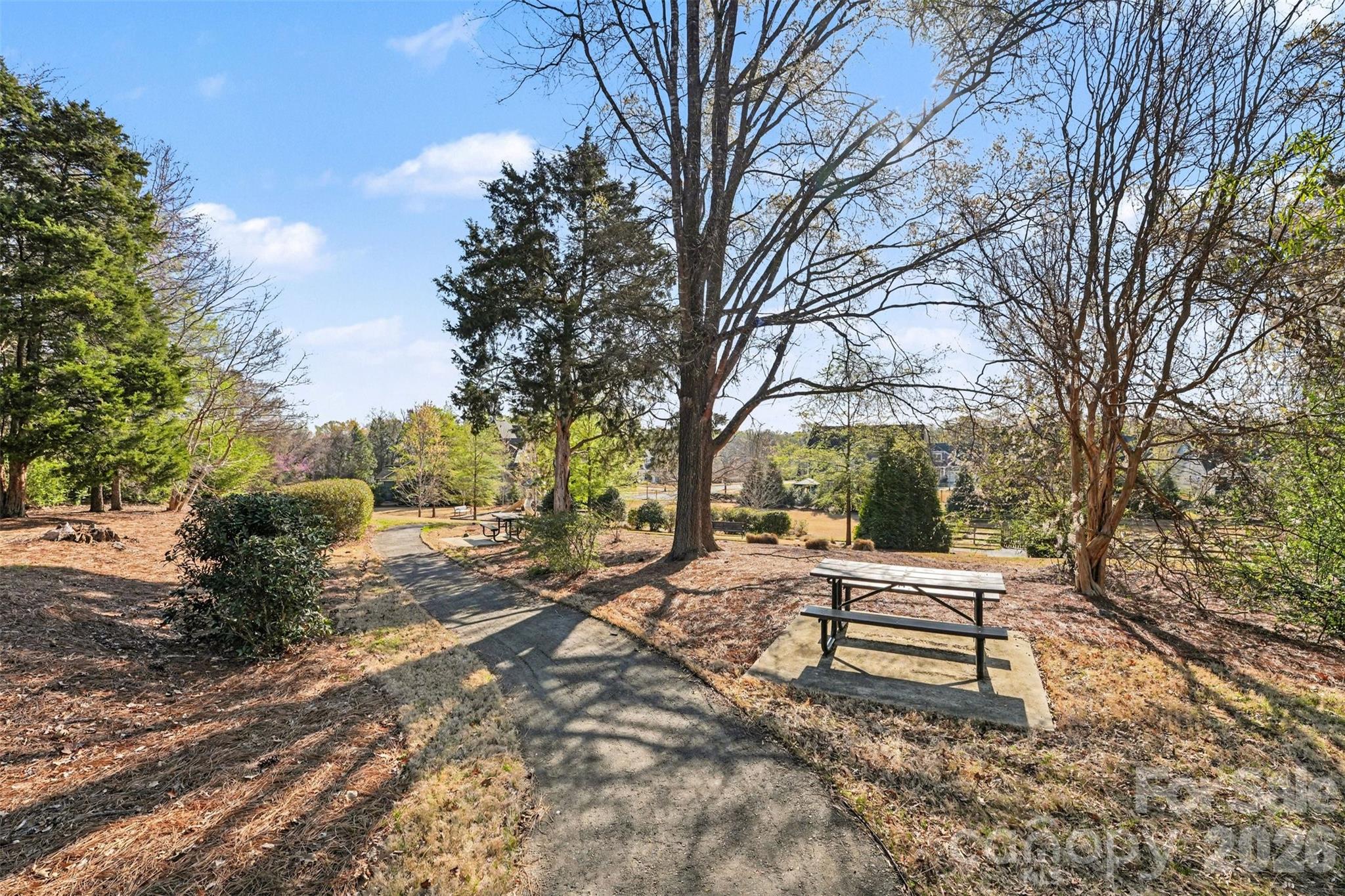 12409 Cranberry Glades Drive, Cornelius, NC - photo 29 of 35