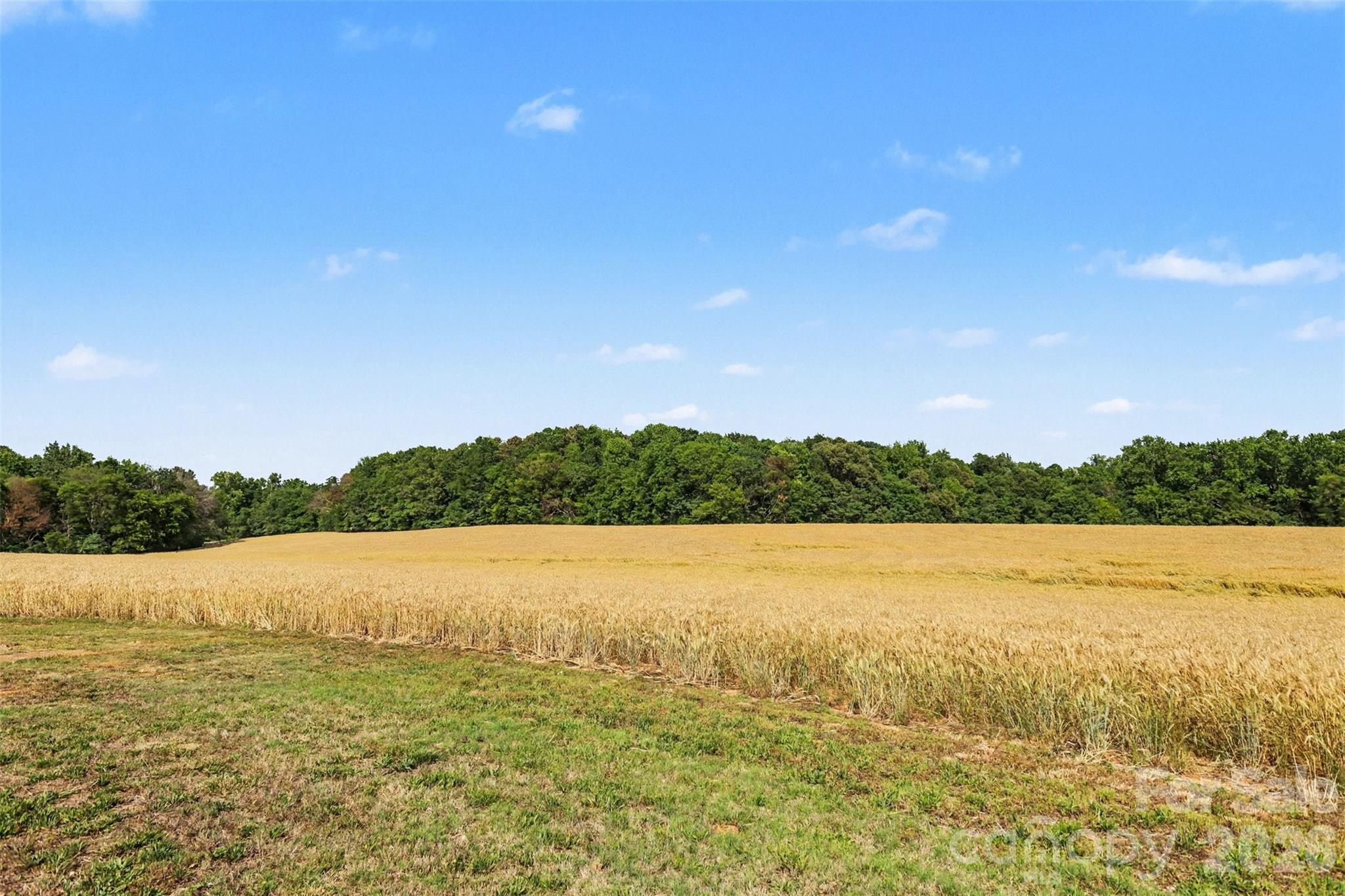 6710 Effie Whitley Road, Monroe, NC - photo 13 of 49