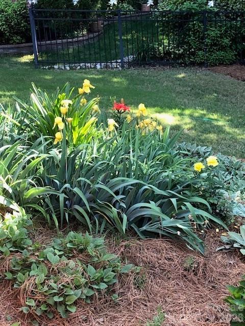 Photo 45 of 13824 Glen Abbey Drive, Charlotte, NC