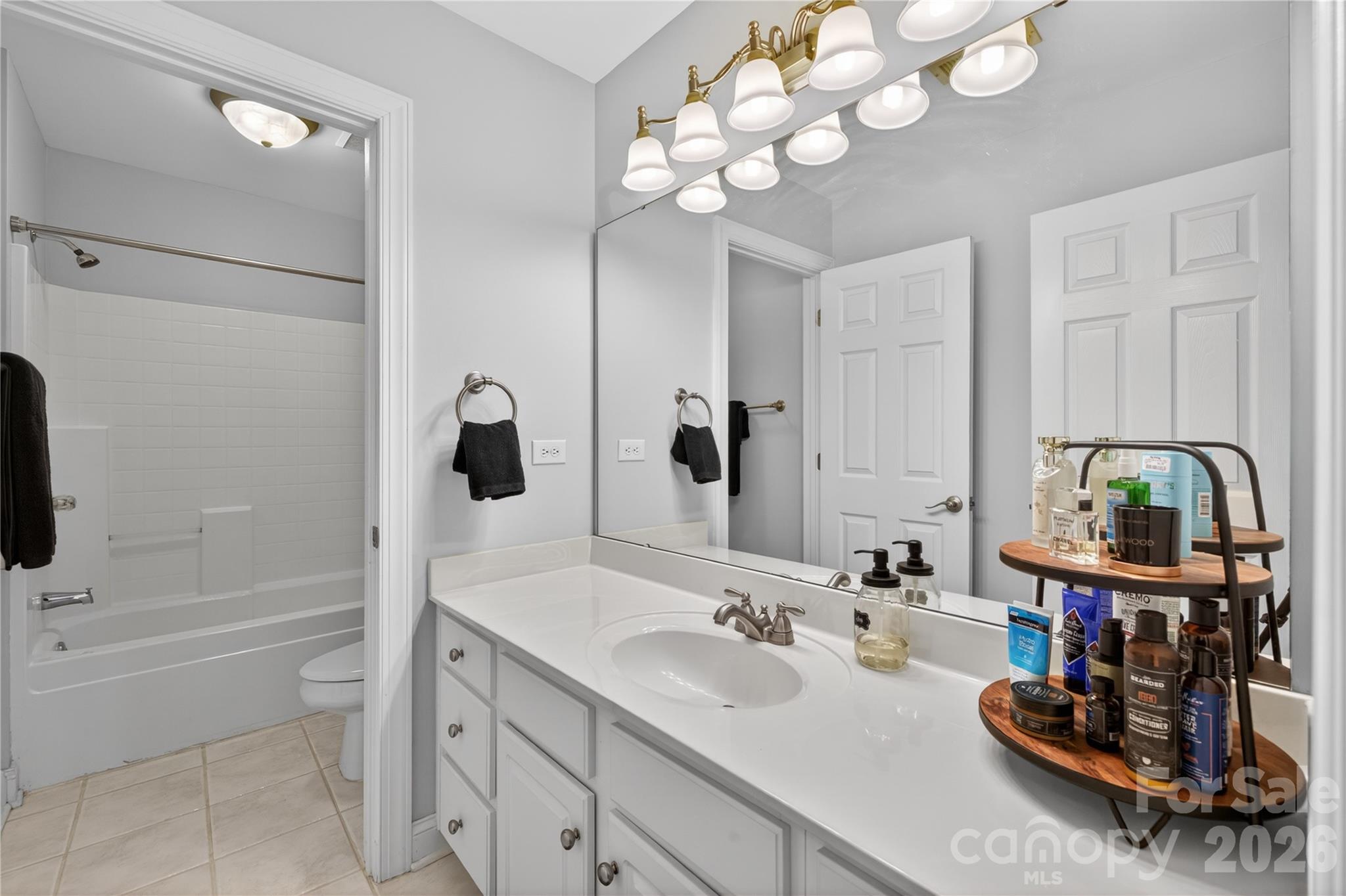 1117 Legacy Lane, Fort Mill, SC - photo 24 of 36