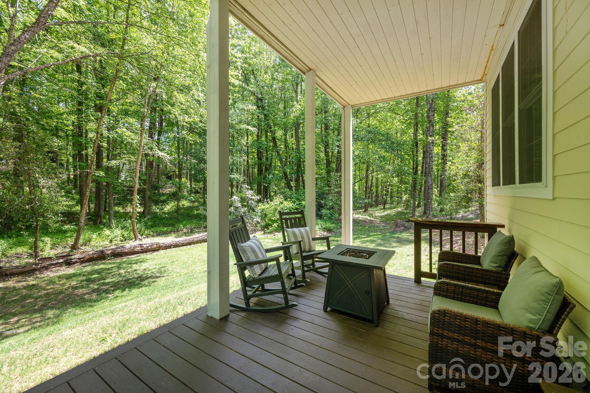 113 CHANCERY Court, Flat Rock, NC - photo 38 of 46