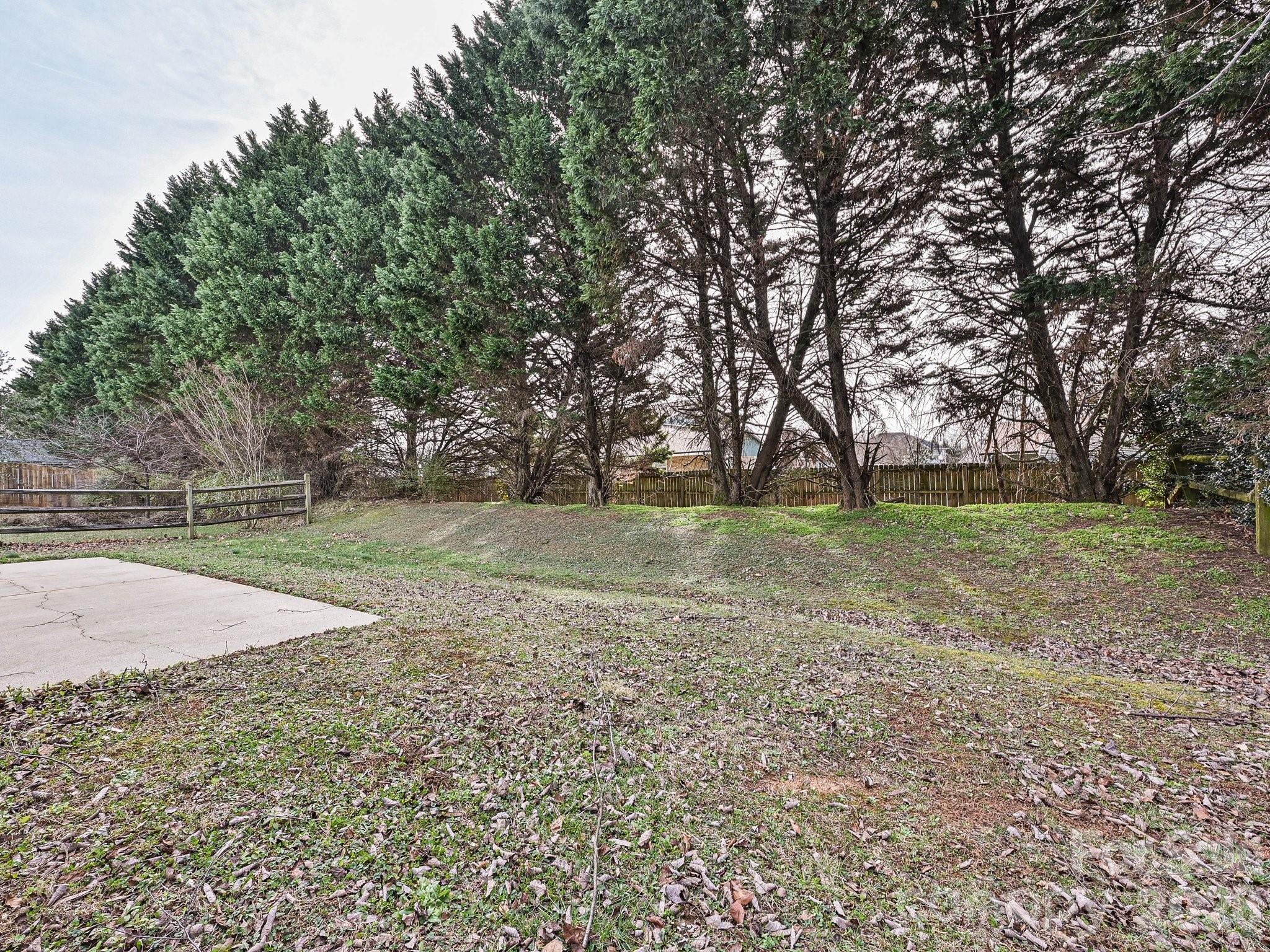 Photo 10 of 11726 Black Maple Avenue, Charlotte, NC