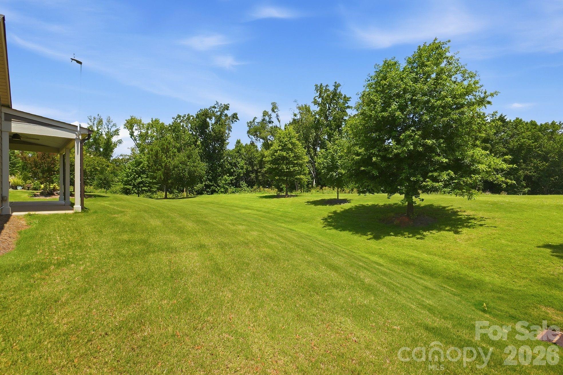 Photo 30 of 2336 Delaney Drive, Fort Mill, SC