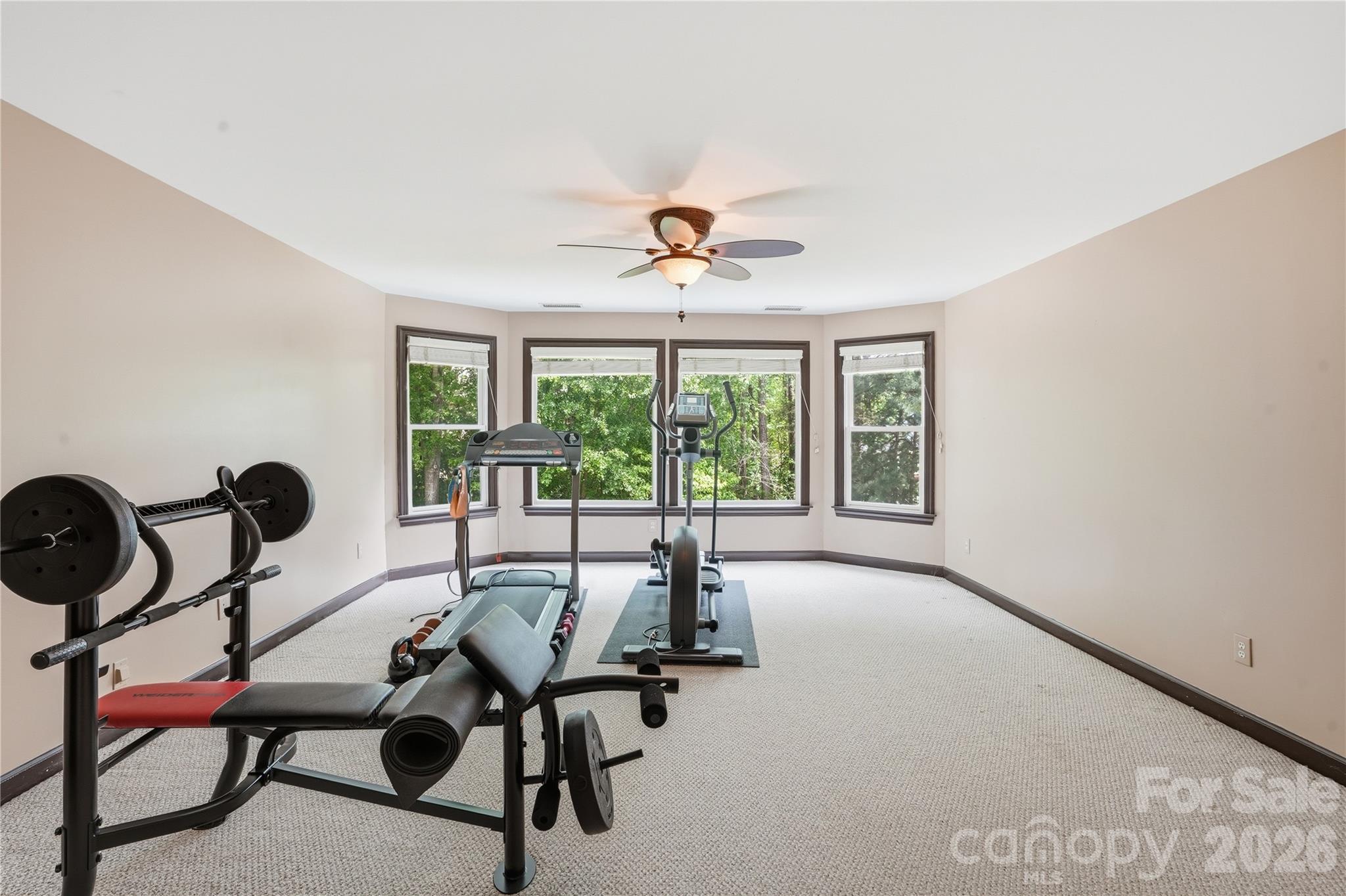 Photo 35 of 16219 Millsford Court, Charlotte, NC