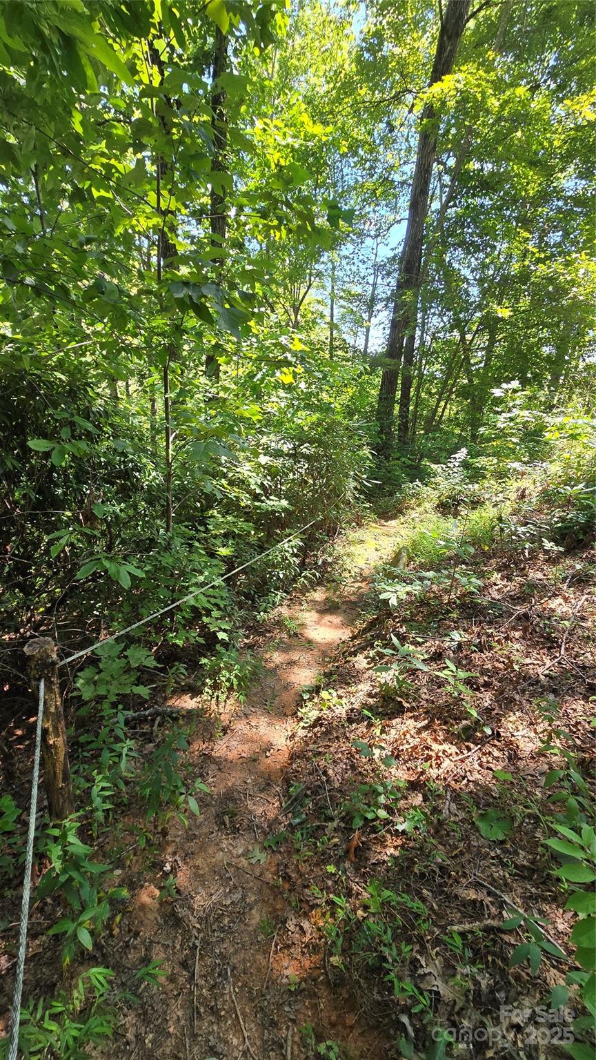 288 Long Ridge Road, Old Fort, NC - photo 42 of 49