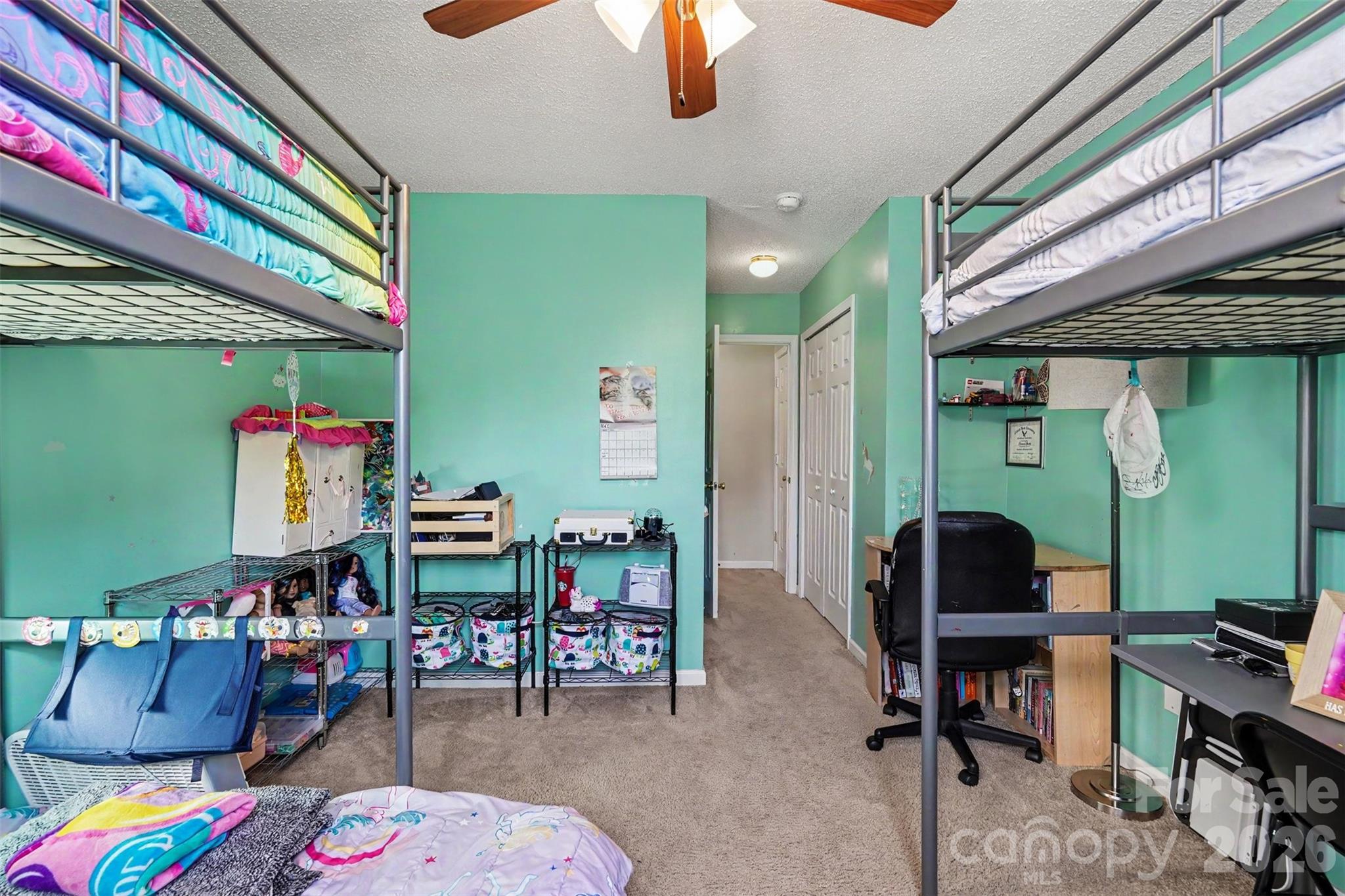420 Scarlett Lane, Fort Mill, SC - photo 20 of 29