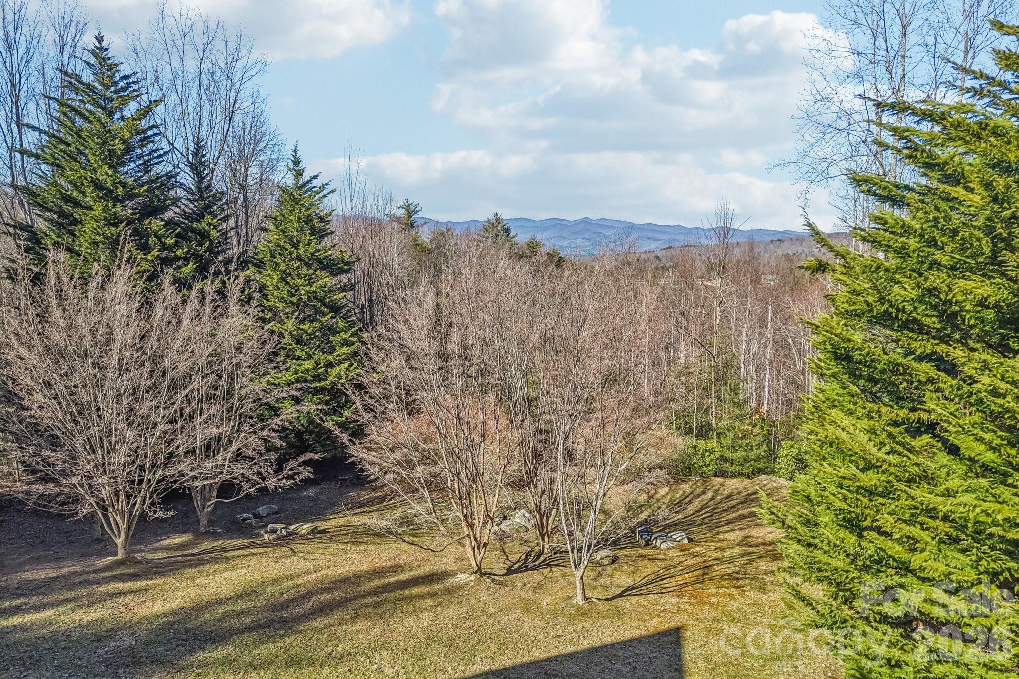 266 Lost Mine Trail, Brevard, NC - photo 4 of 48