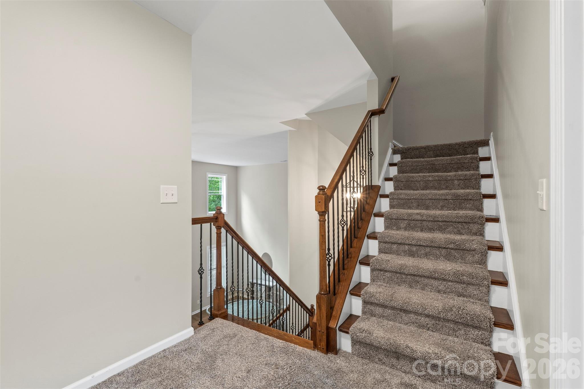 Photo 19 of 10019 Elizabeth Crest Lane, Charlotte, NC