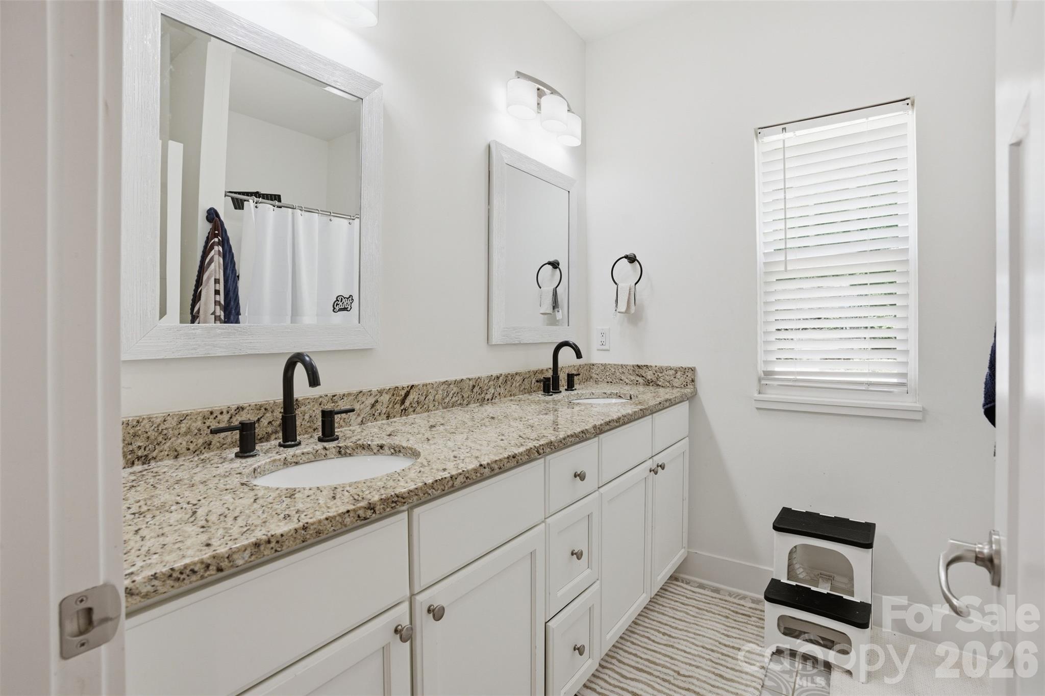 184 Watering Trough Road, Statesville, NC - photo 8 of 19