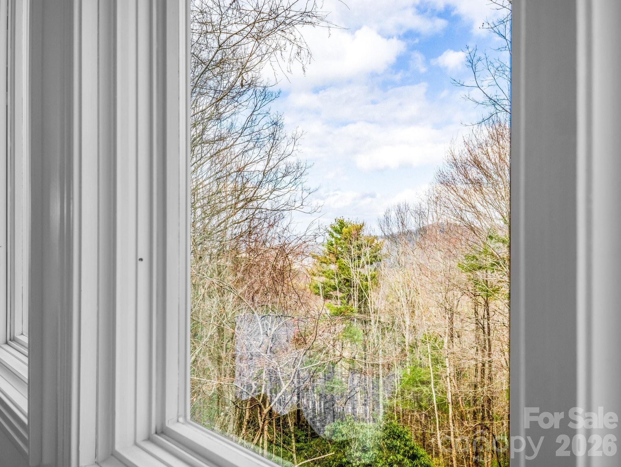 209 Walnut Ridge Road, Brevard, NC - photo 23 of 43