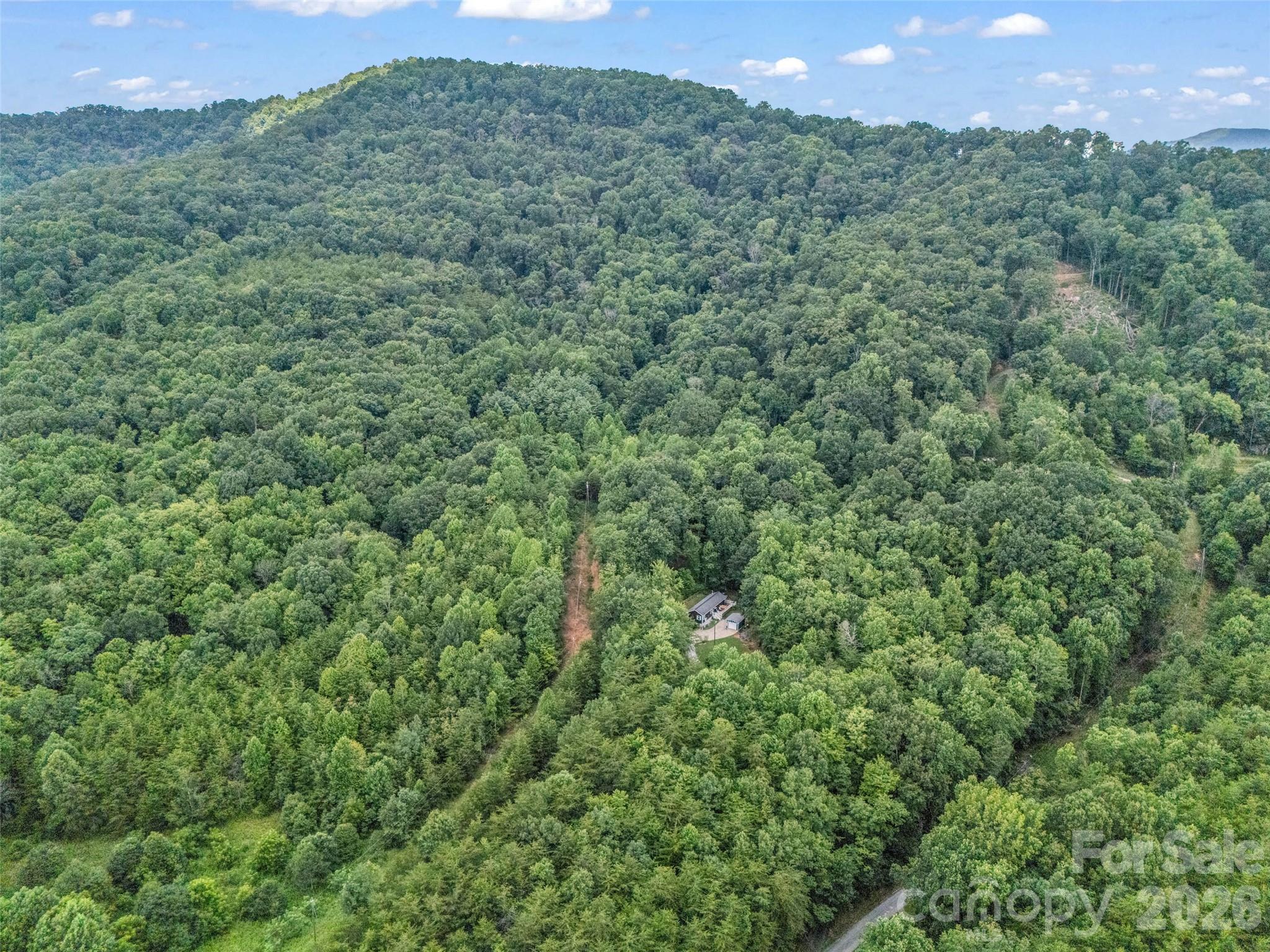 479 Camp Hill Road, Mill Spring, NC - photo 47 of 49