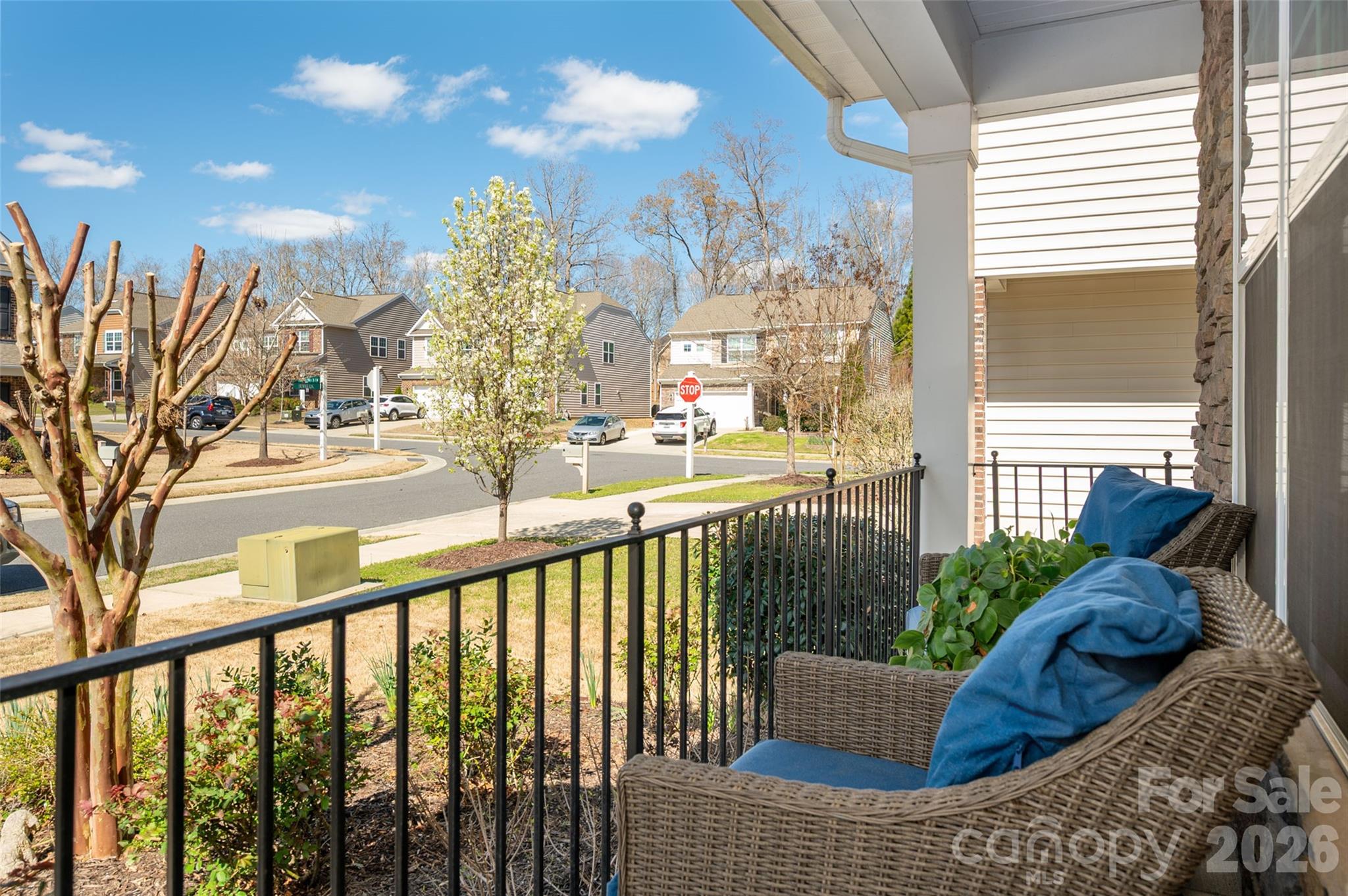 3020 Sewee Lane, Waxhaw, NC - photo 4 of 49