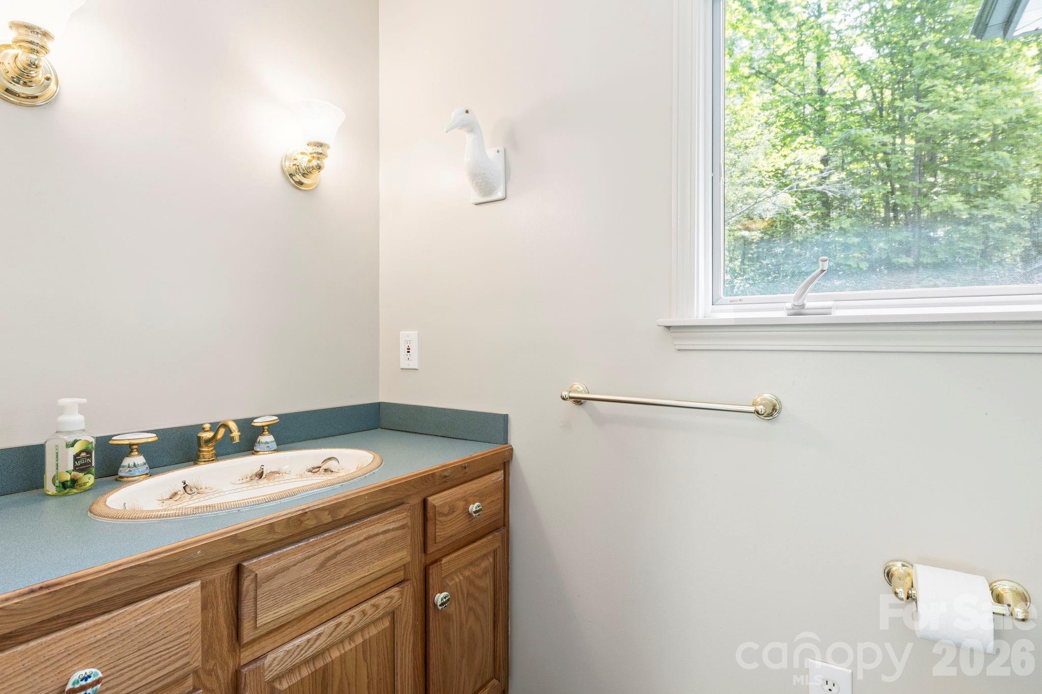 1592 Eagle Lake Drive154, Brevard, NC - photo 21 of 44