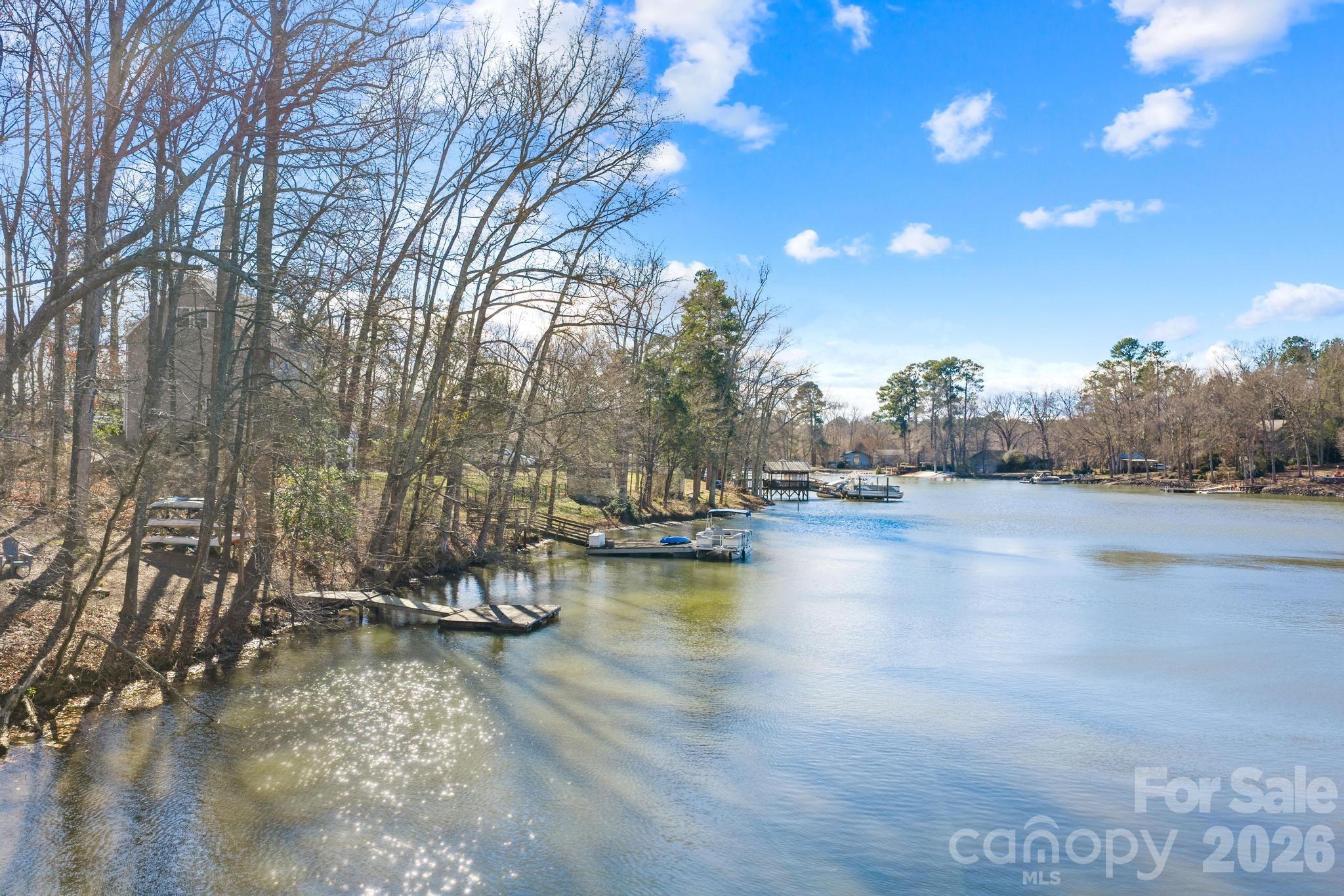 294 Carroll Cove, Clover, SC - photo 18 of 49