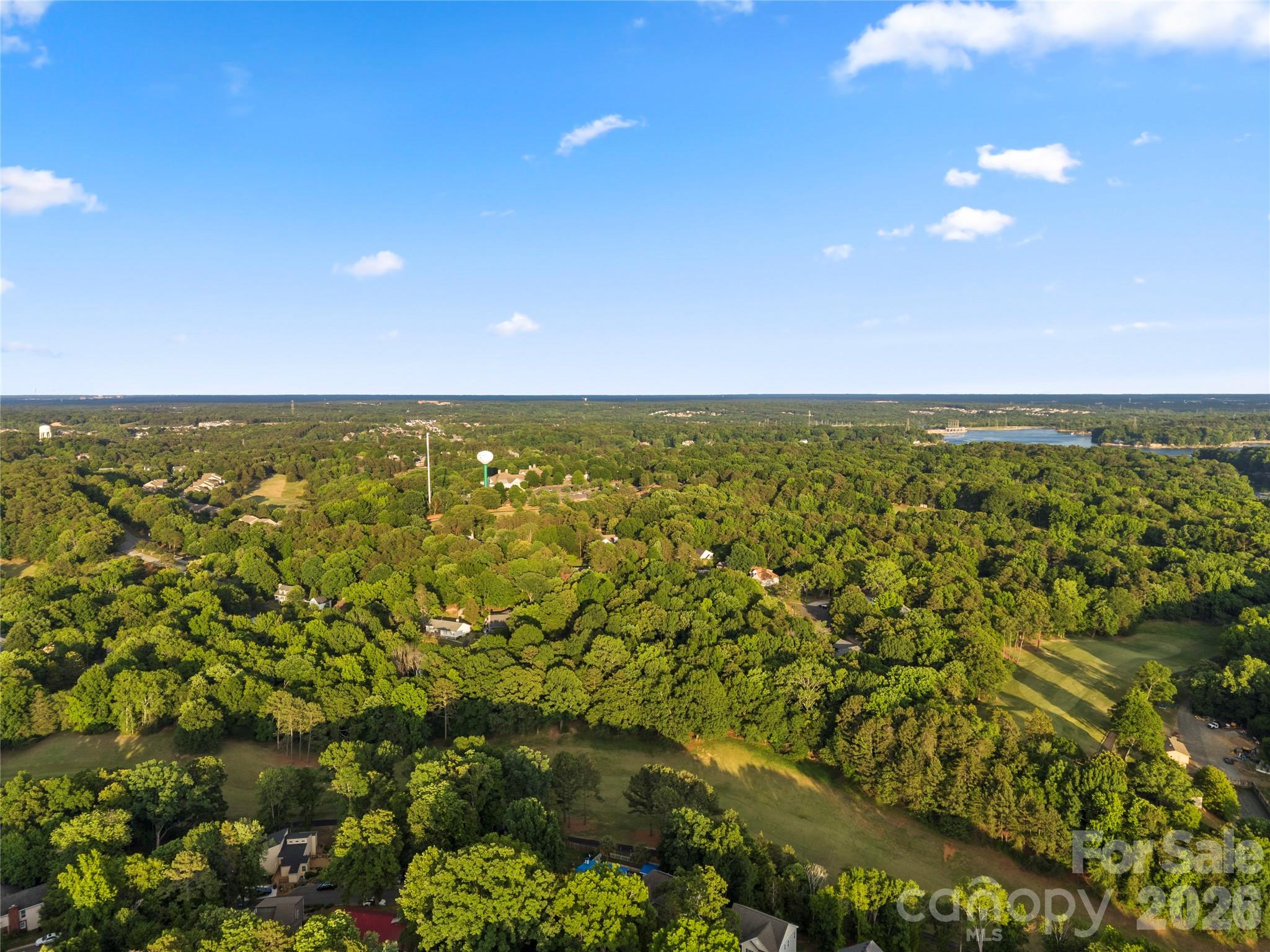 3072 Point Clear Drive, Tega Cay, SC - photo 40 of 48