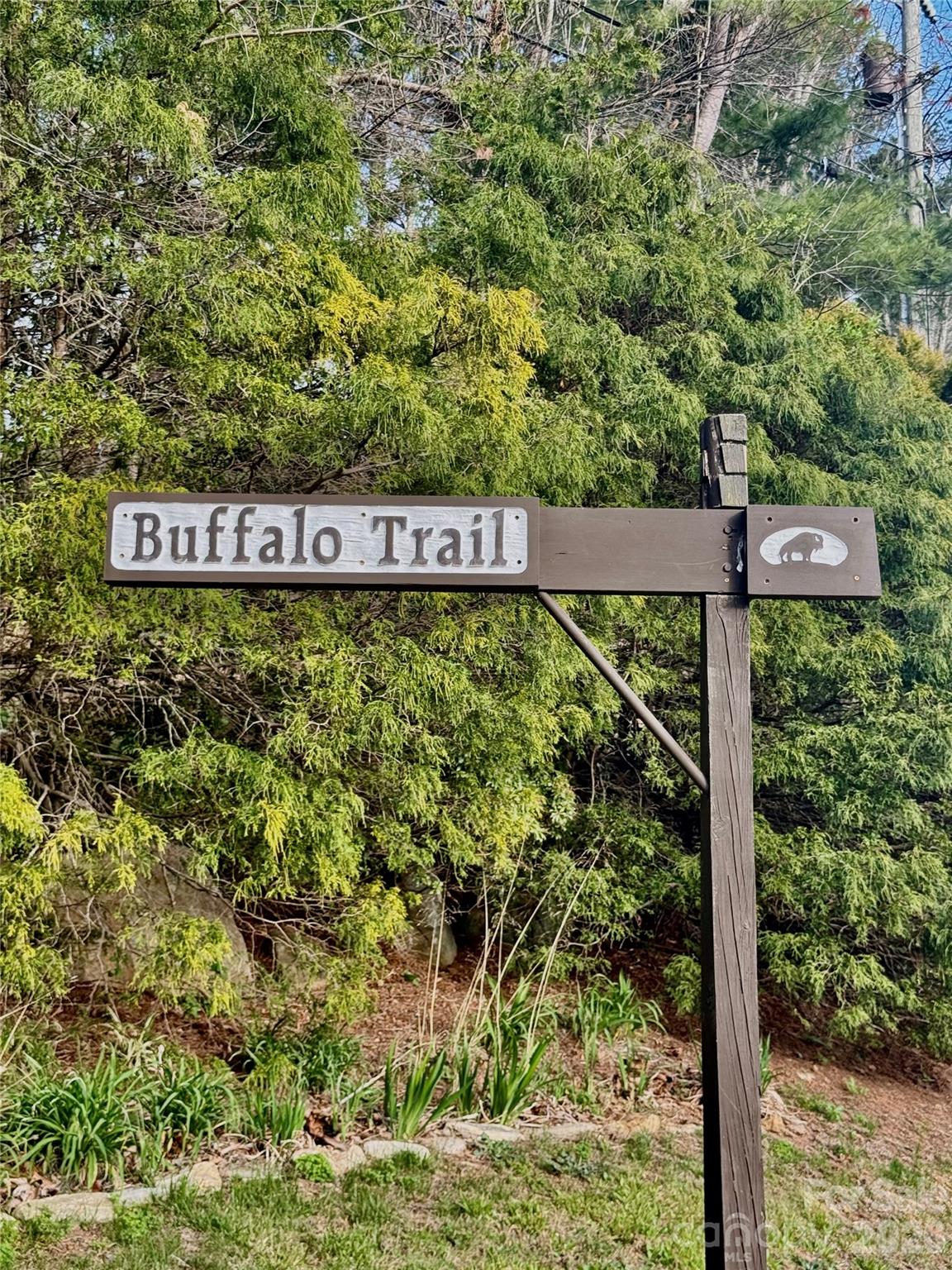 125 Buffalo Trail, Asheville, NC - photo 38 of 39